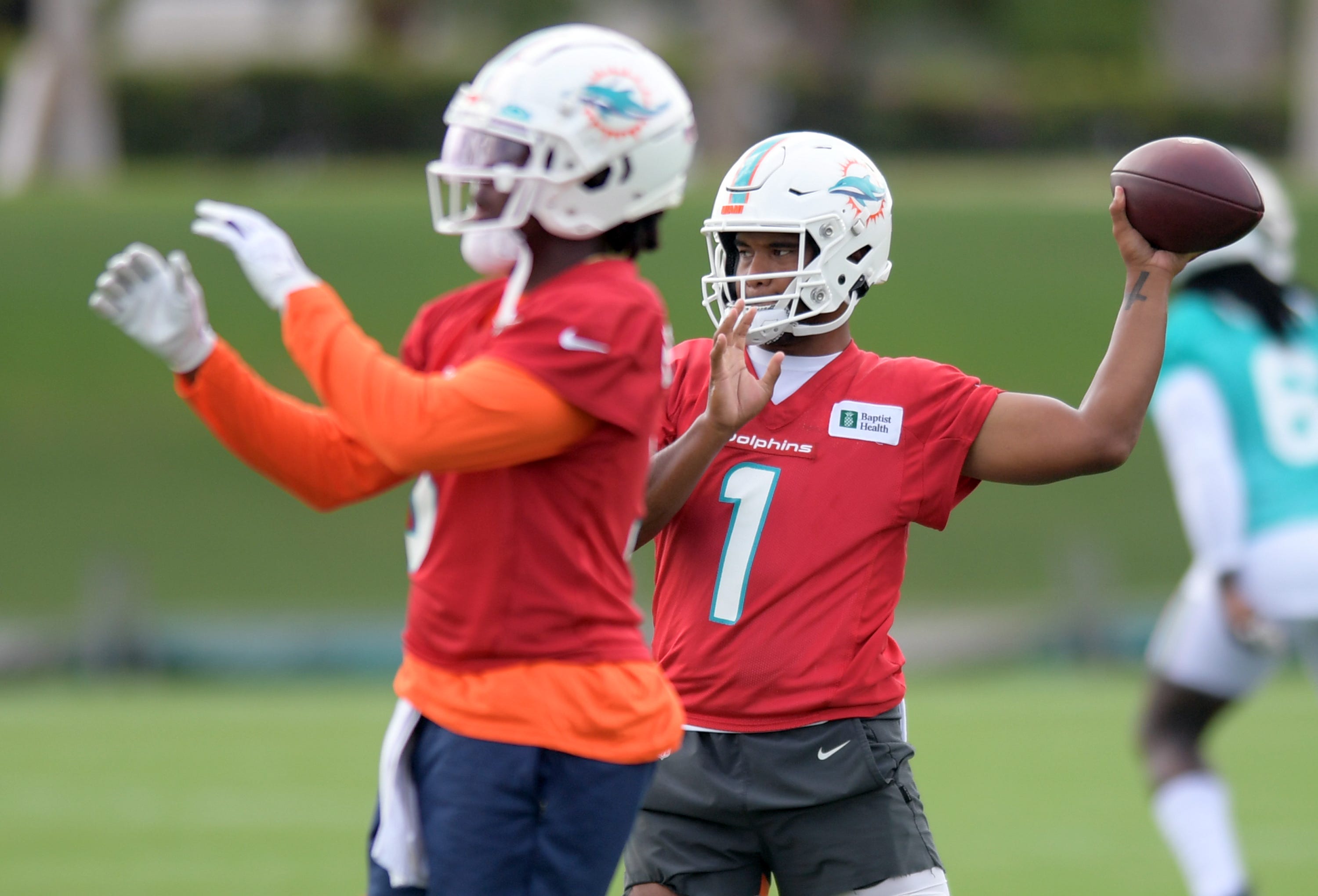 Miami Dolphins NFL News & Headline in Florida | Palm Beach Post