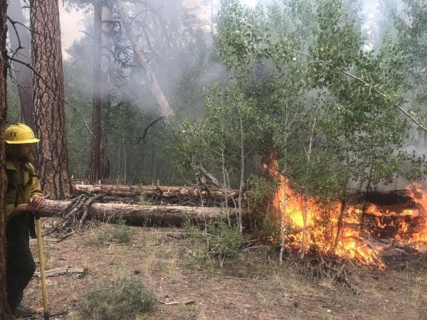 Arizona wildfires 2022 map: Track where fires are burning now