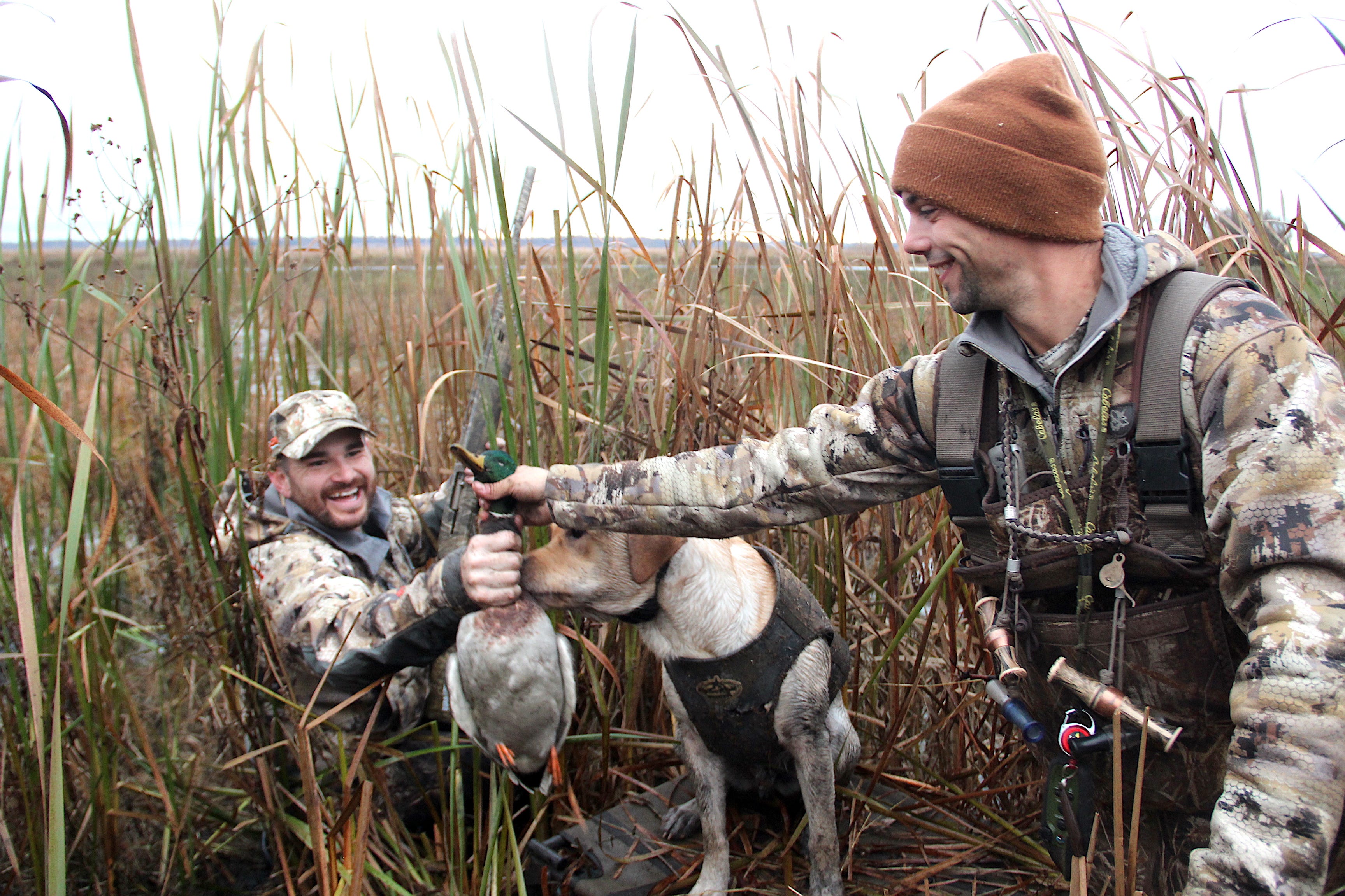 Wildlife biologists, wardens go on waterfowl hunt at Horicon Marsh