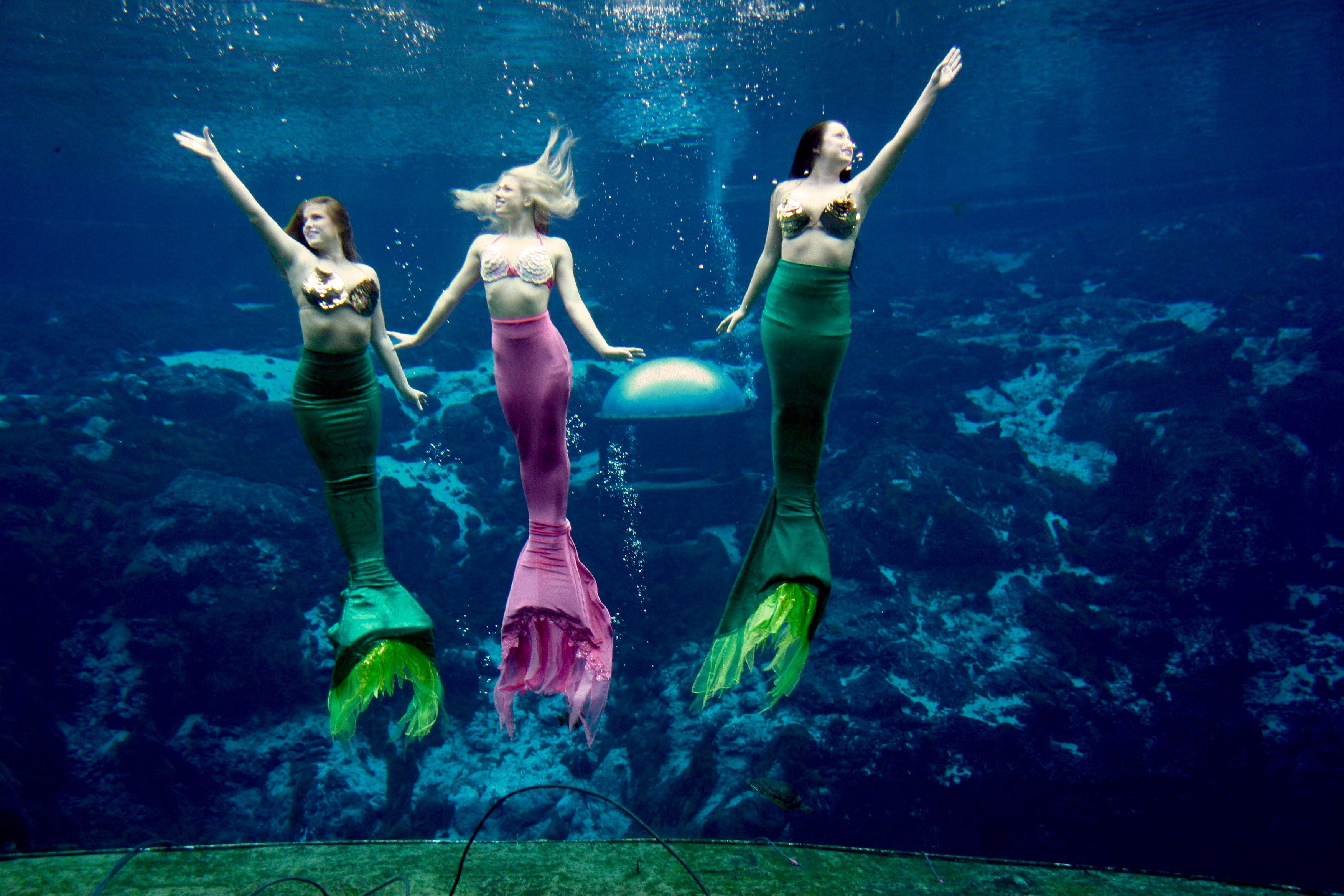 Seeking adventure? See mermaids at these five Florida hot spots