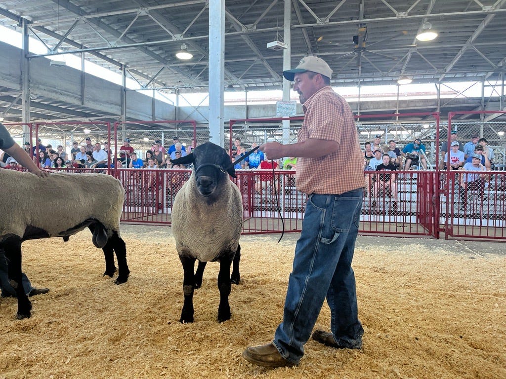 The Iowa State Fair's biggest animals won prizes on day one