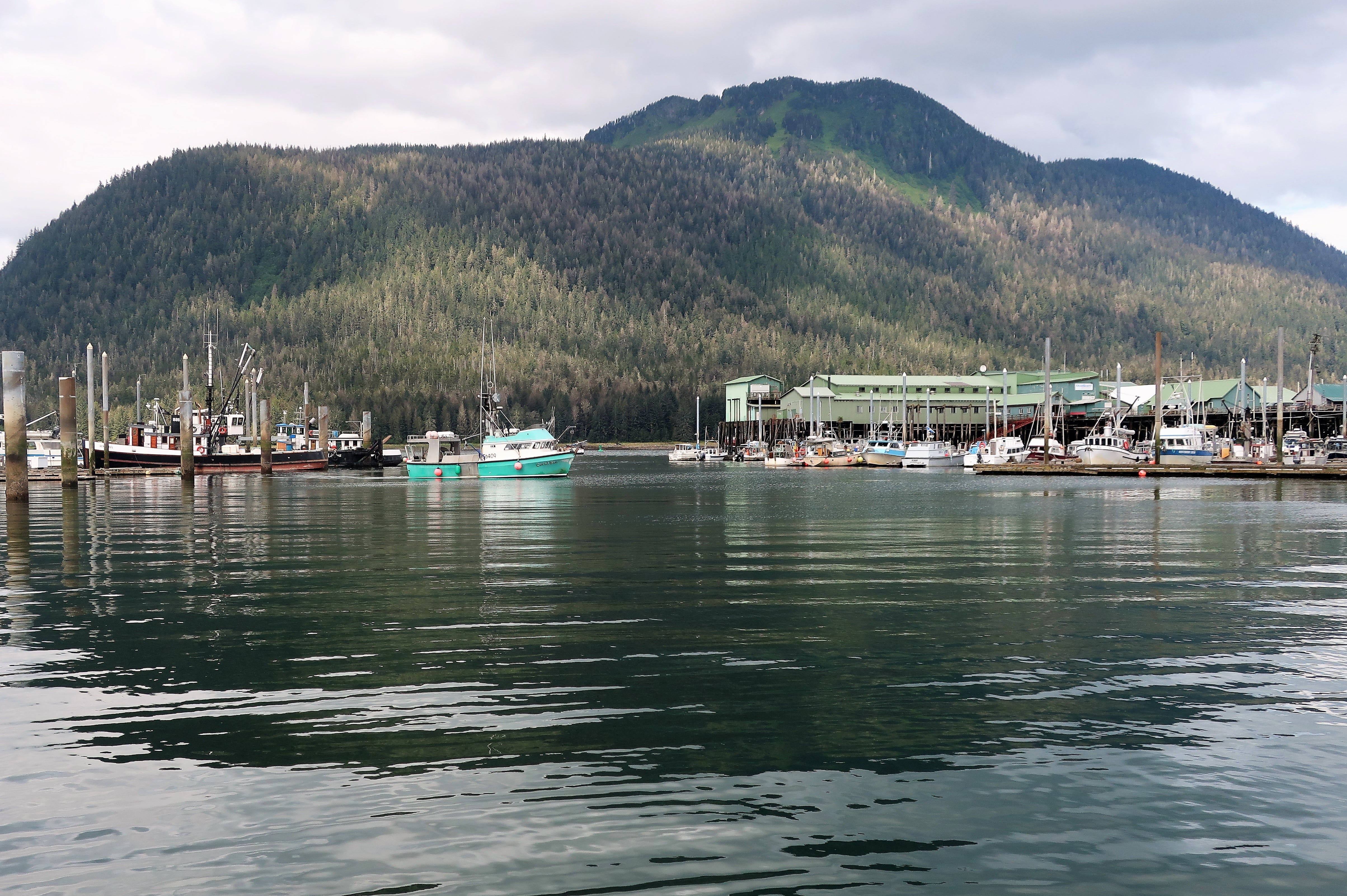 Cruising Alaska expedition-style with American Queen Voyages