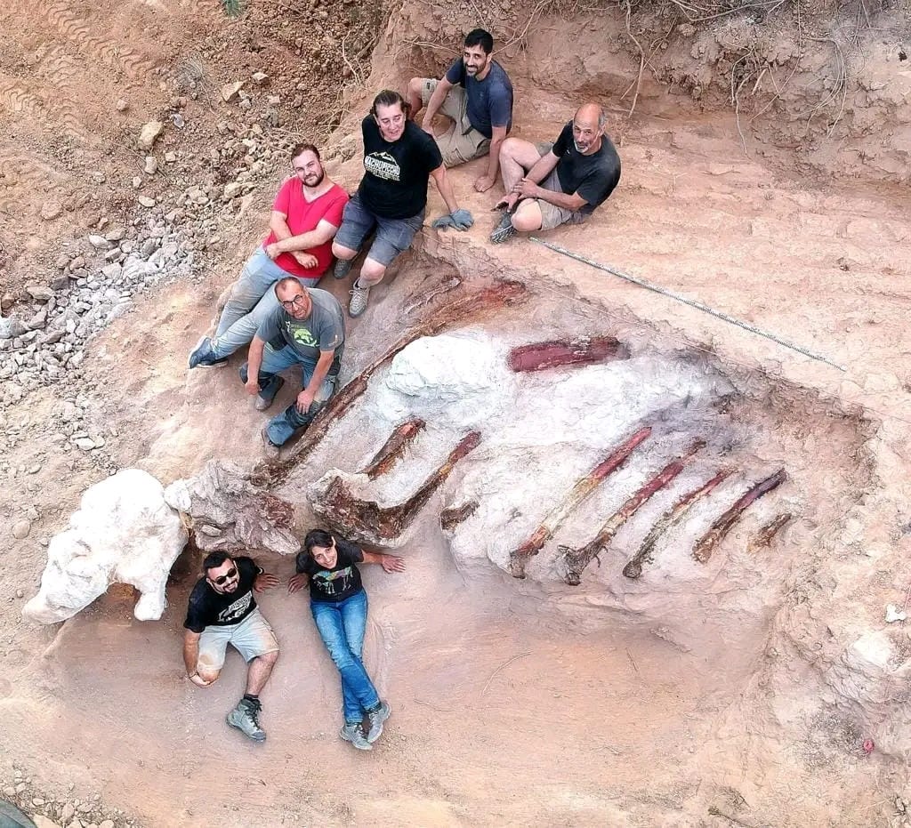 Europe's largest dinosaur remains possibly discovered in Portugal