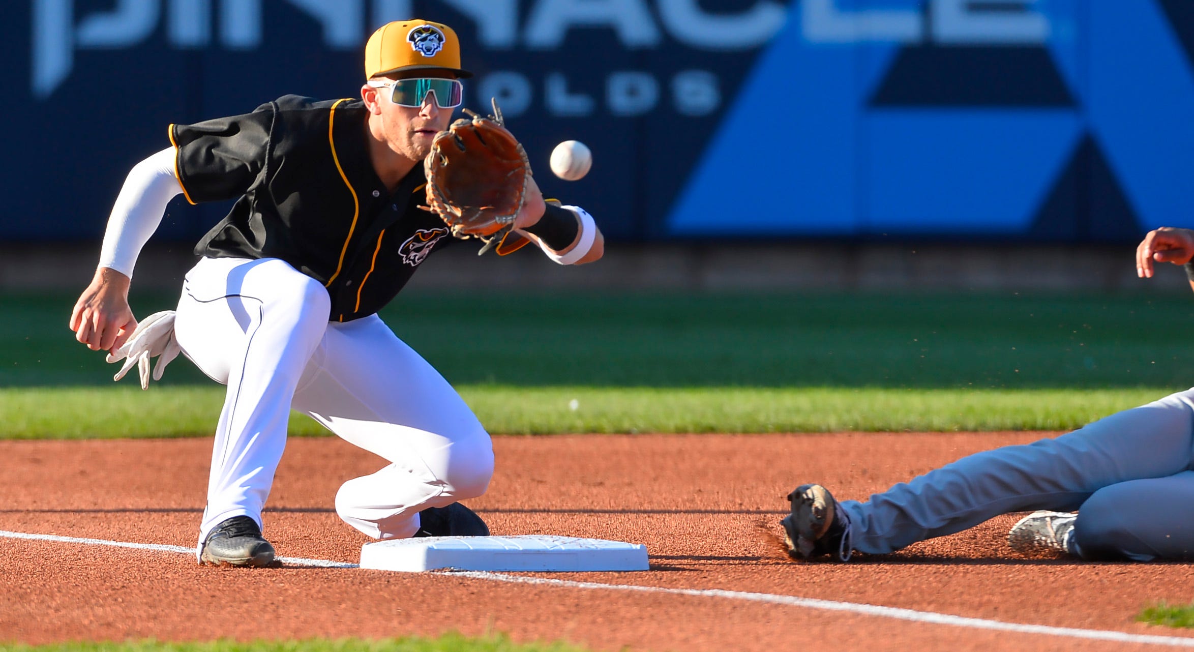 Seawolves Sports in Erie, PA | GoErie.com