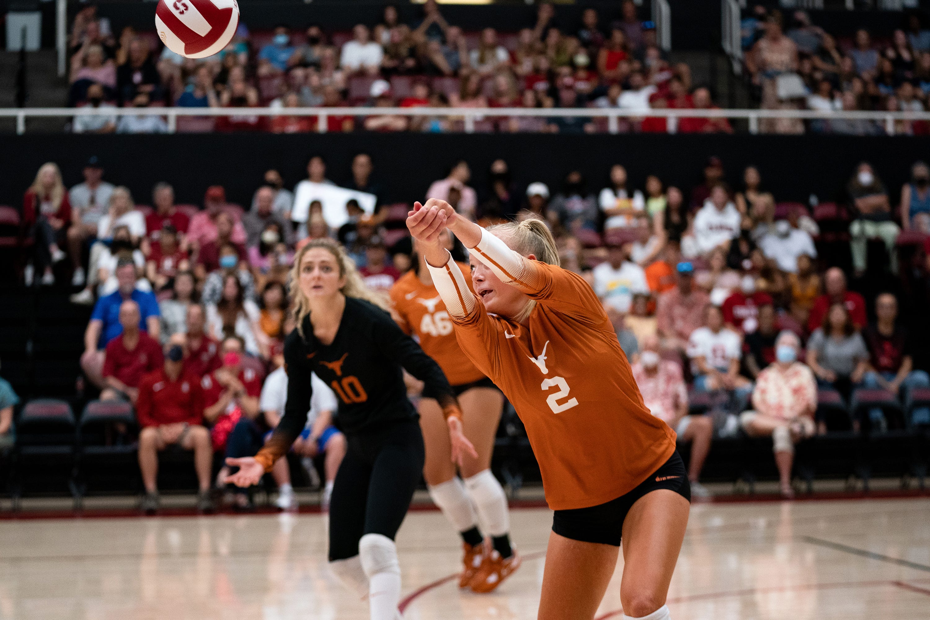 Freshman Emma Halter has made a quick impact on Texas' back row