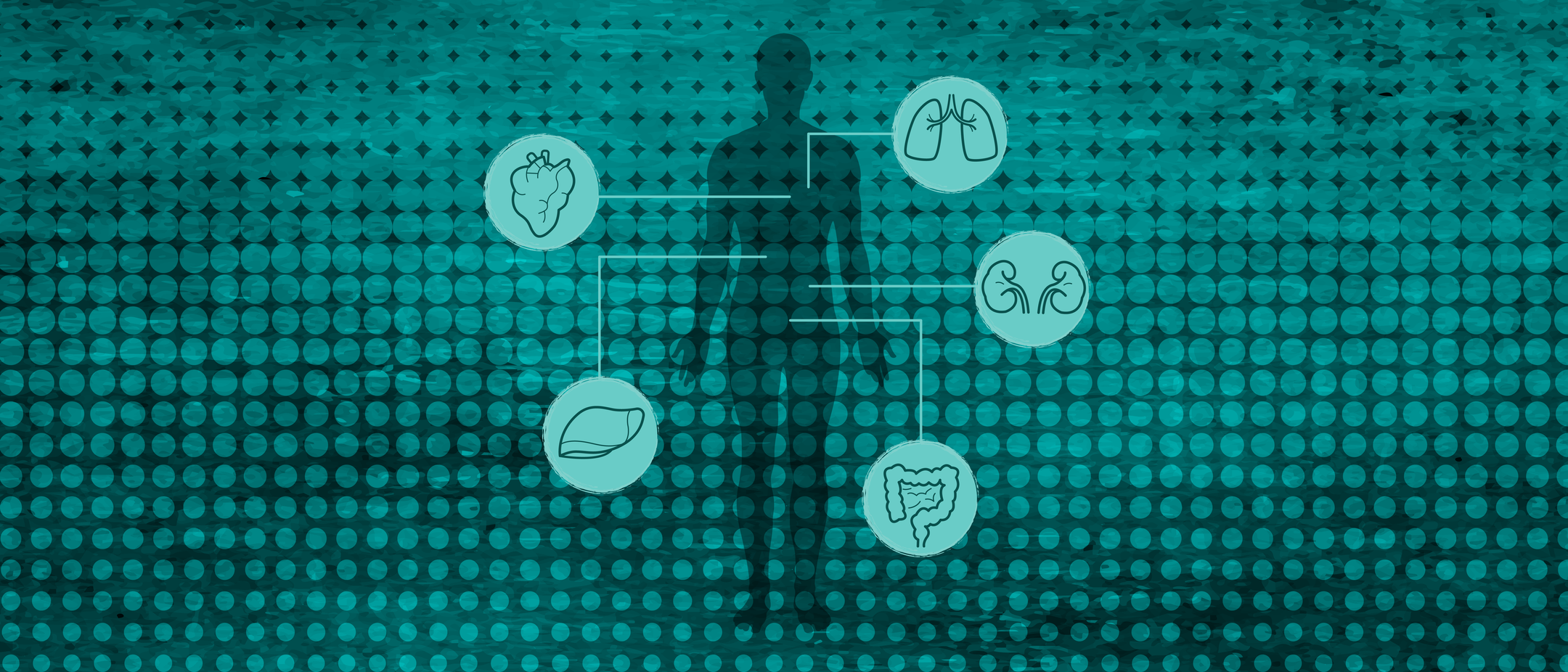 Organ transplants in the U.S. are on the rise. Here are the numbers.