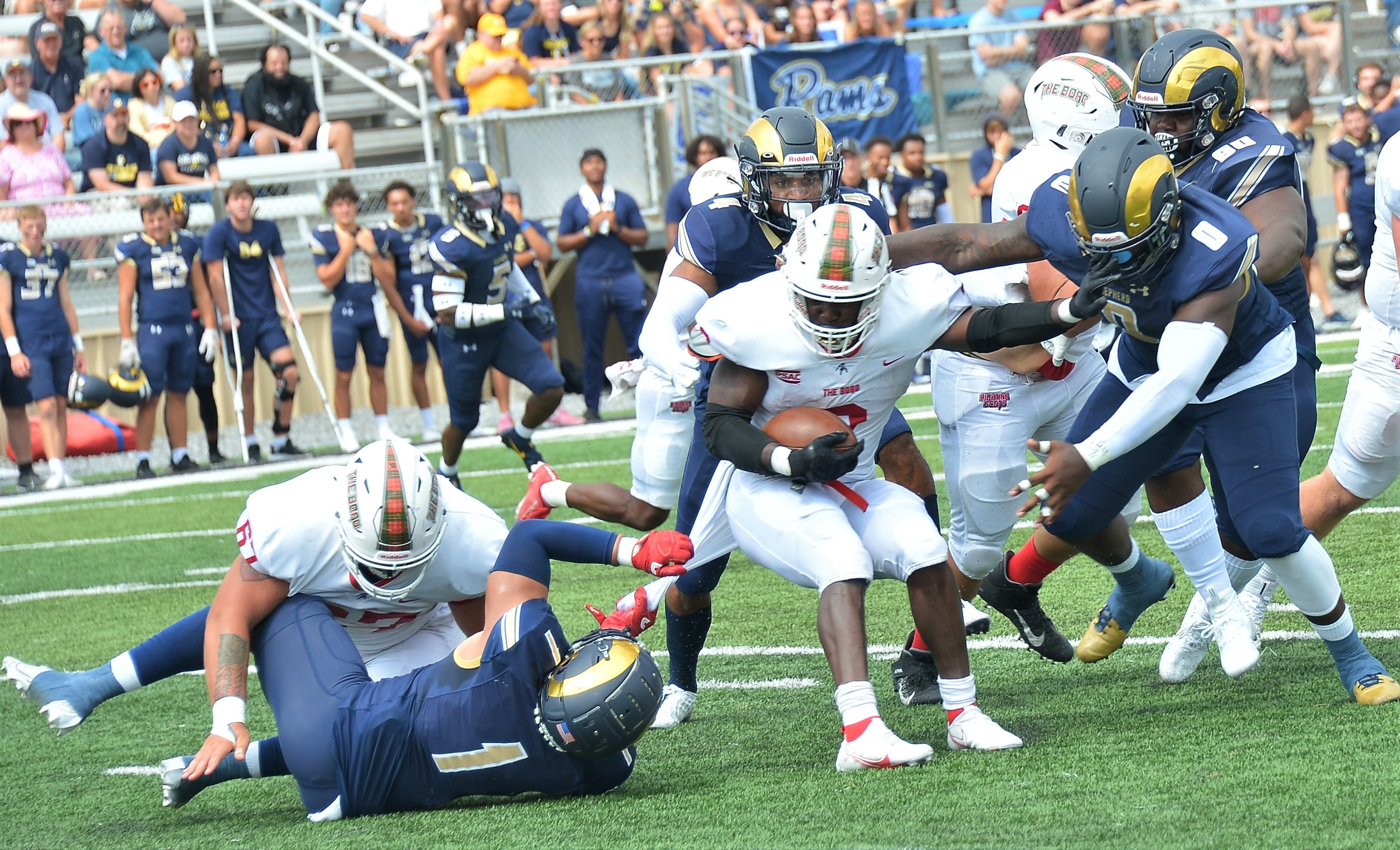 Brown leads Shepherd in rout of PSAC foe Edinboro
