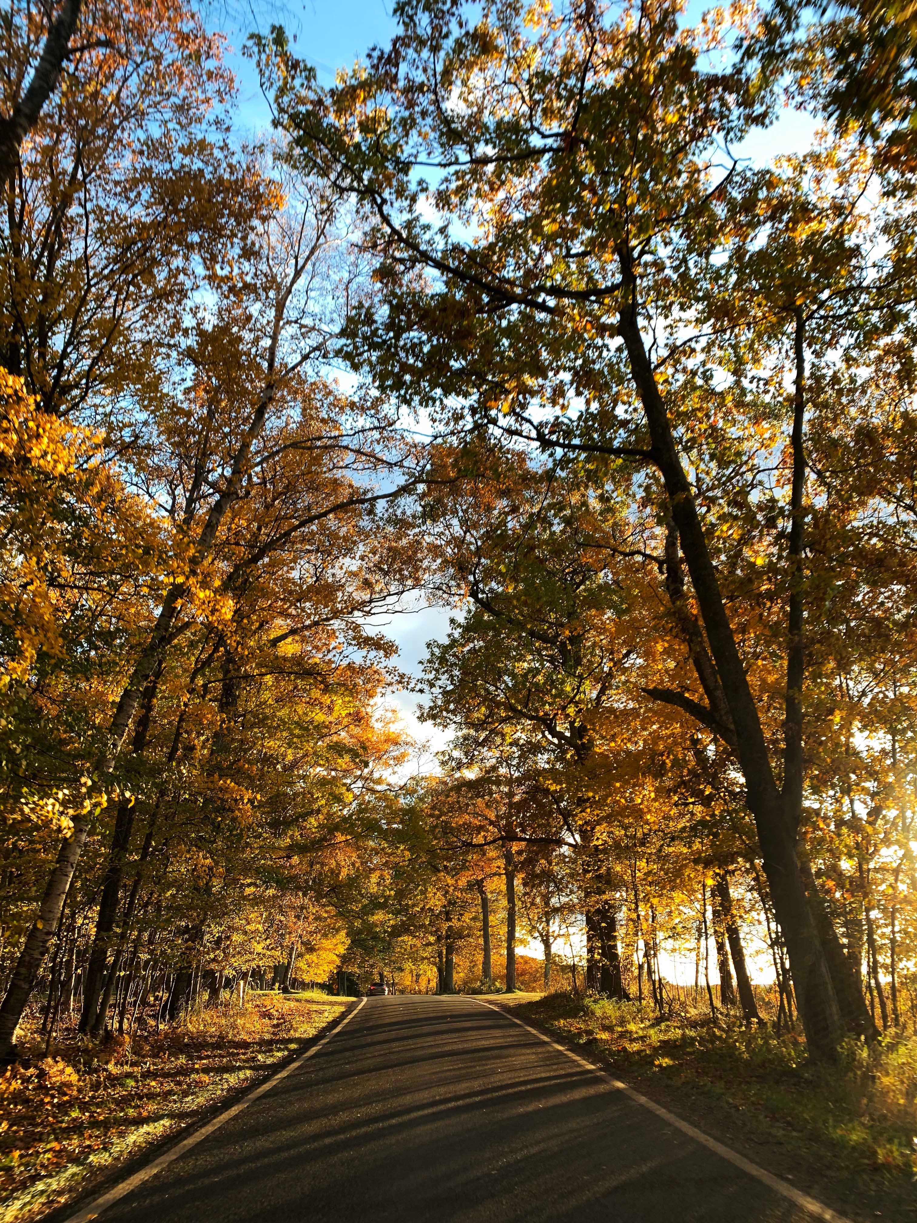Michigan fall colors: The best scenic drives