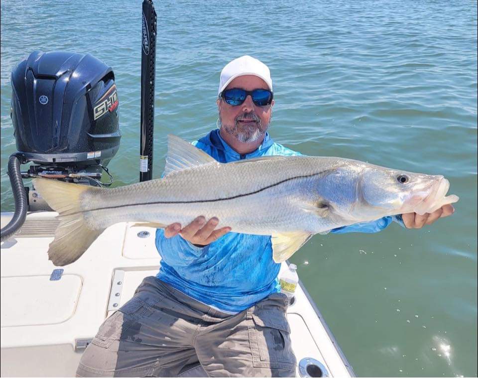 Snook, tarpon & redfish love the Space Coast mullet run
