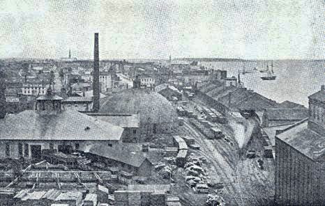 Detroit went wild over Prince Albert Edward visit in 1860