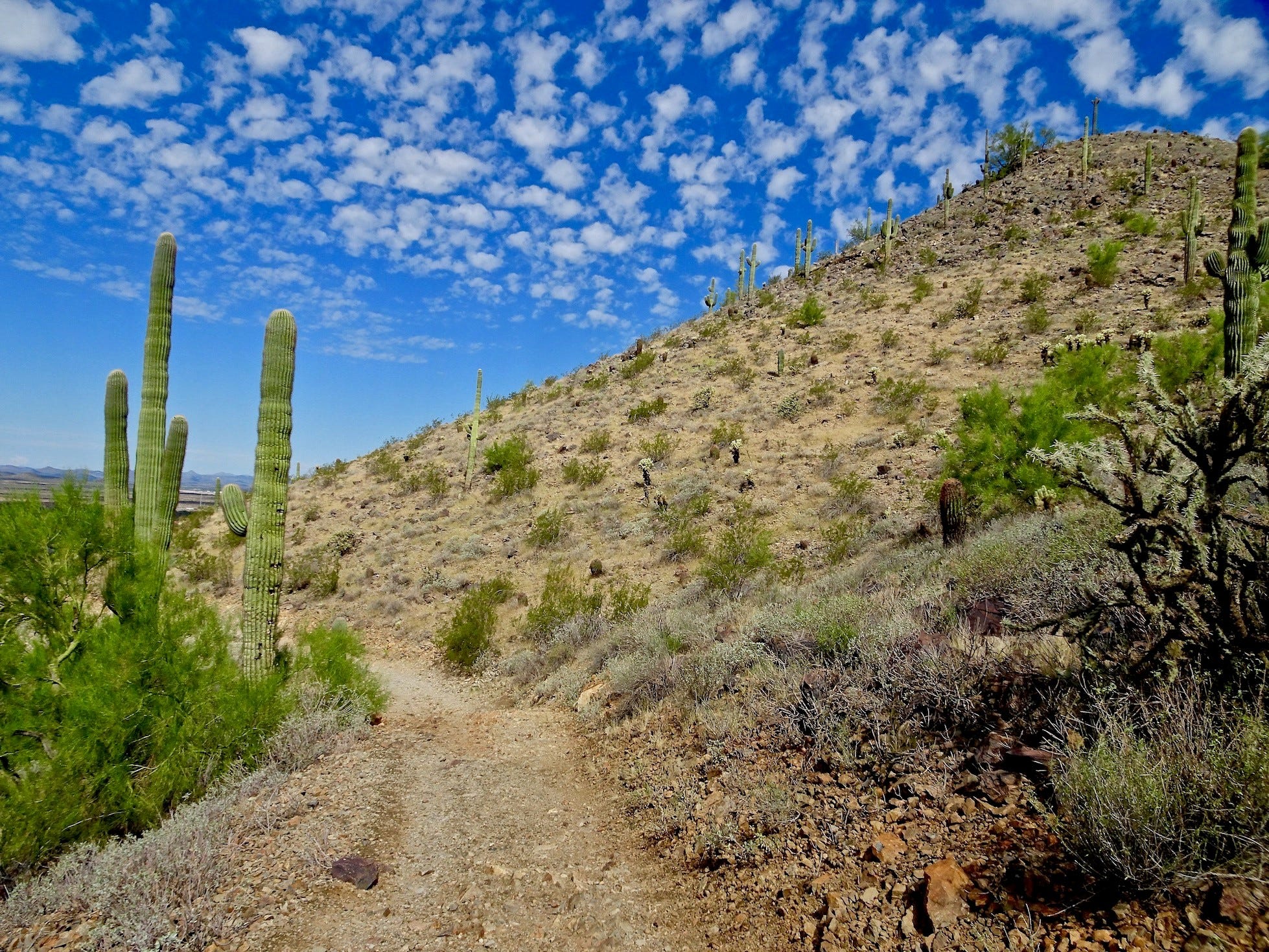 Best desert hikes in Phoenix: Trails for fall, winter spring