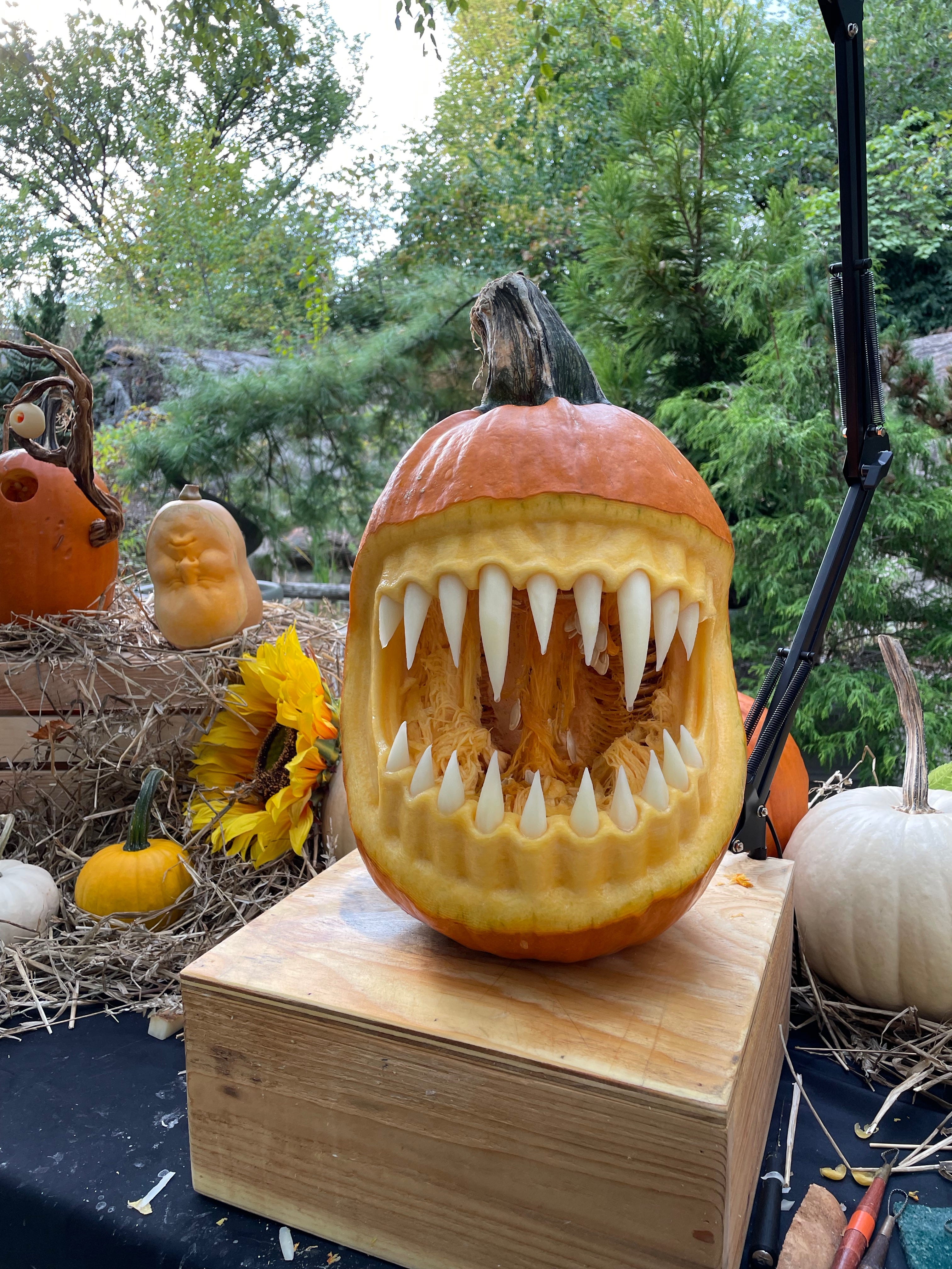 Adam Bierton to appear on Food Network show 'Outrageous Pumpkins'