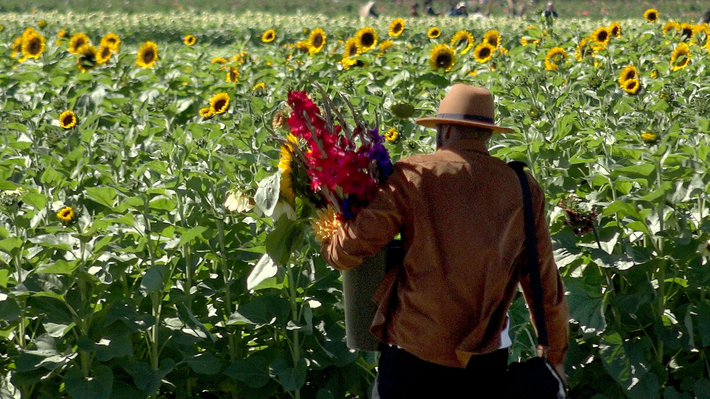Holland Ridge Farms NJ tulip festival offers Instagram-worthy setting