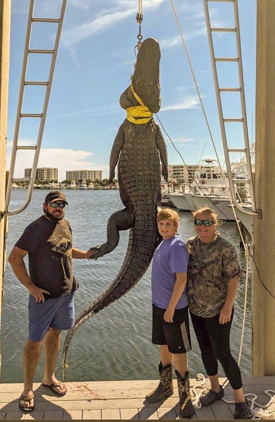 Florida alligator hunt: Scott Fish gets gator on Choctawhatchee River