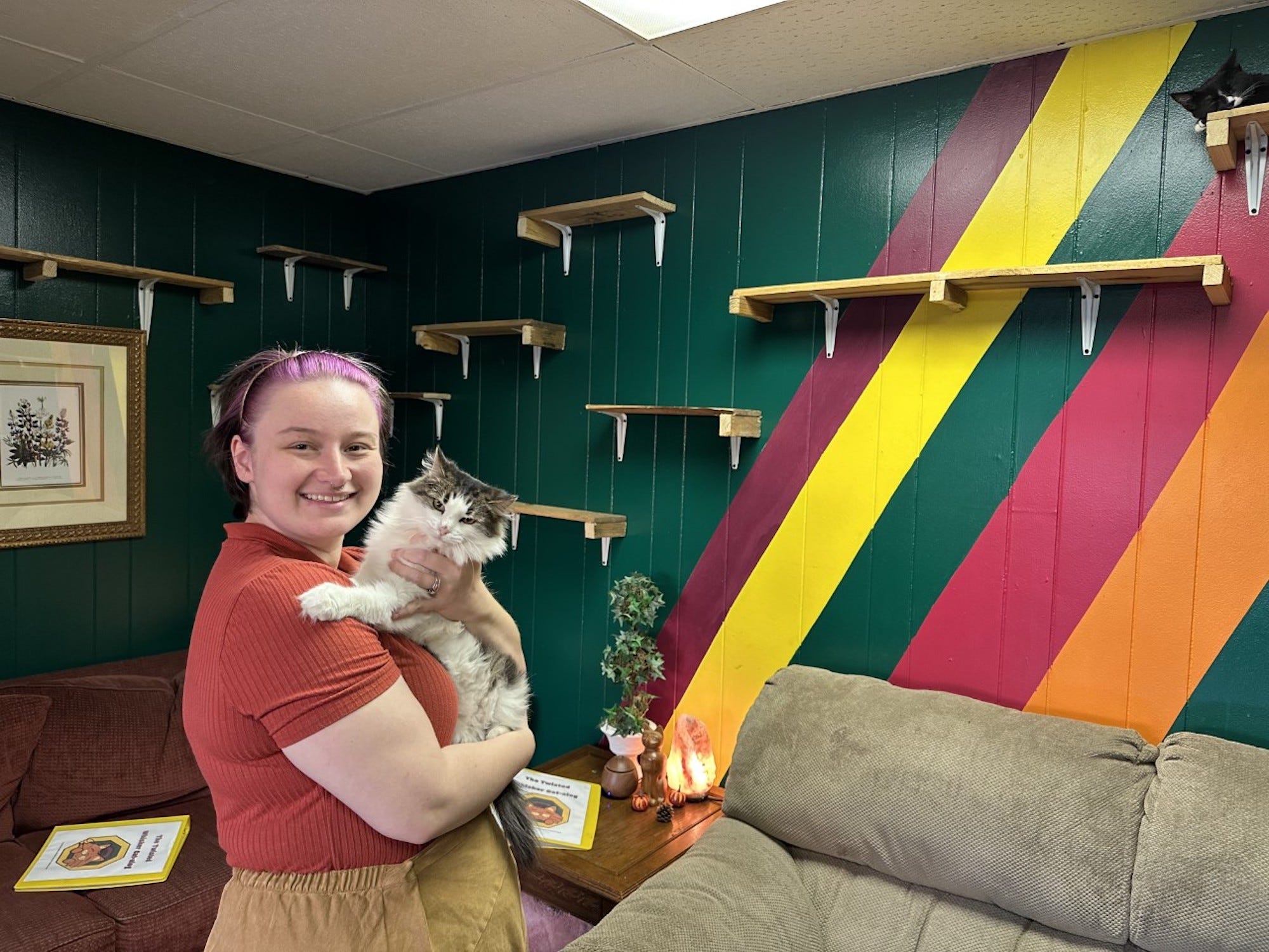 Cats adopt people at this Mississippi cat cafe