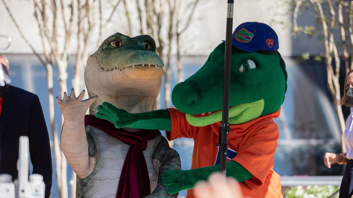 Scenes from Florida Gators' Albert, Lyle Crocodile visit to UF Shands