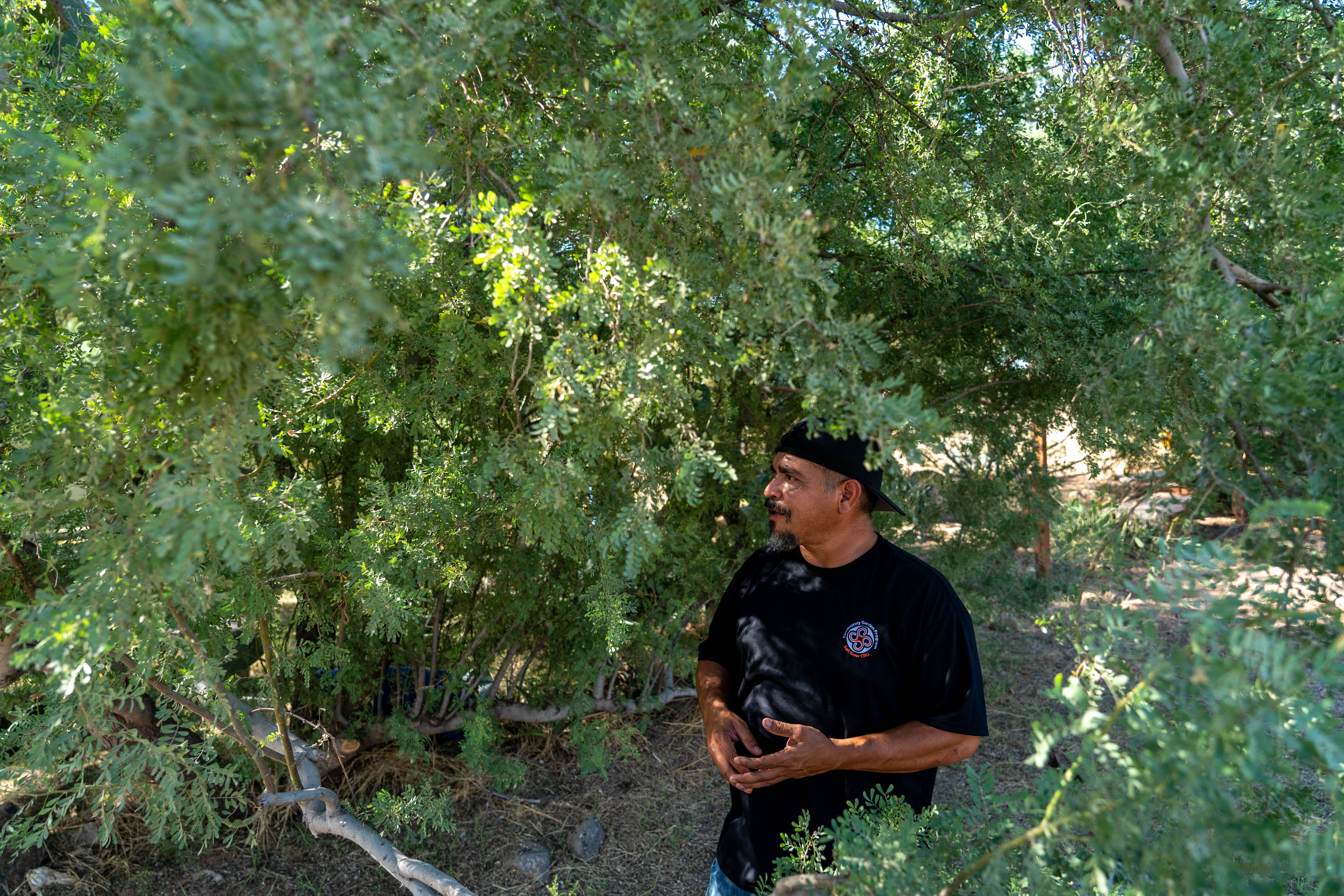 Arizona's Indigenous communities are reclaiming nearly lost foodways