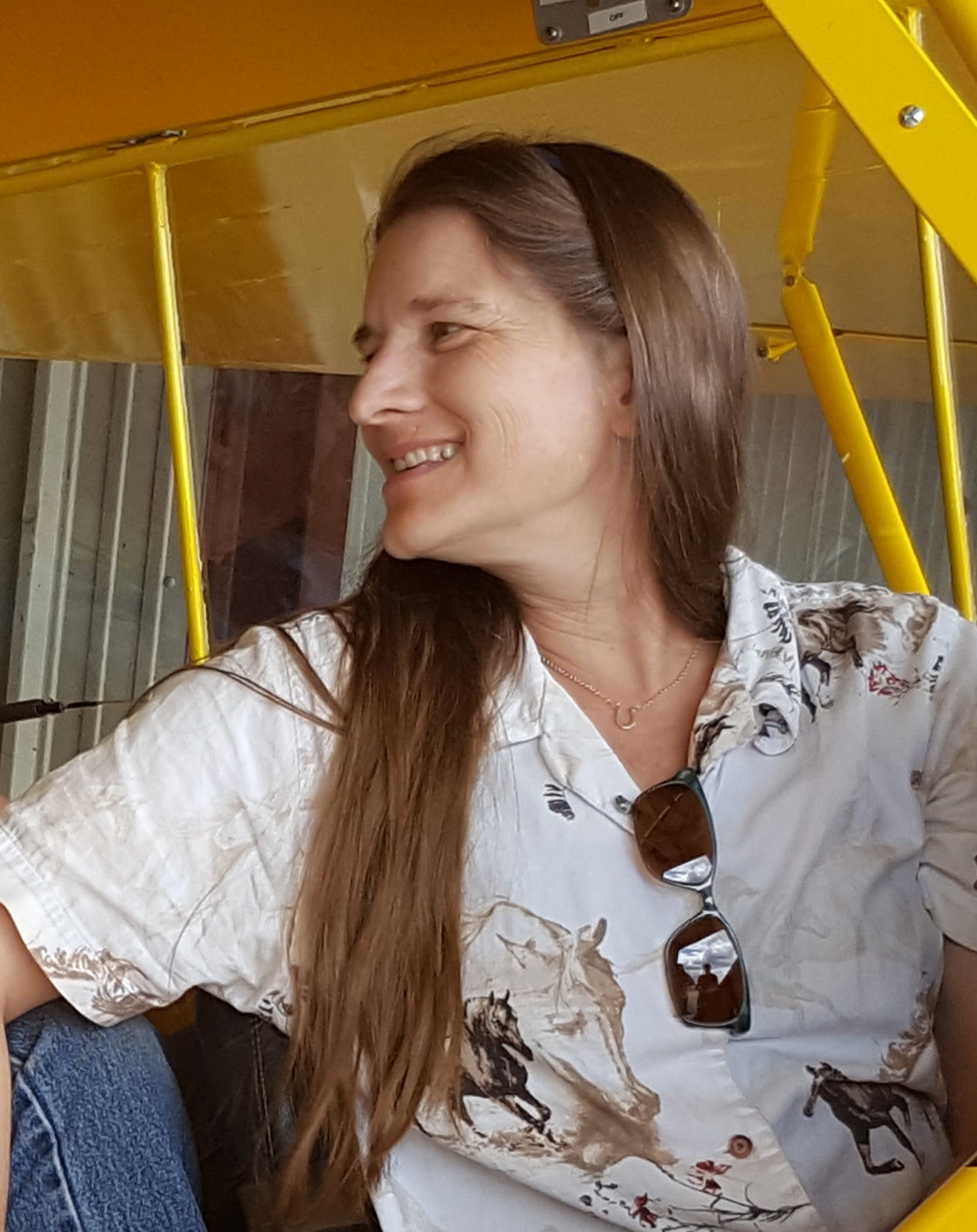 Hope College graduate pens novel set during Great Michigan Fire in Holland