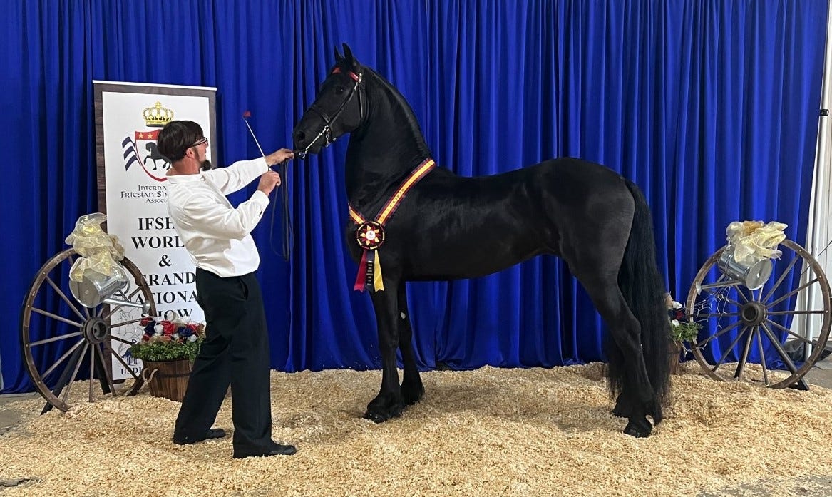 Curtitsy Acres owner and three Friesian horses win at IFSHA championships