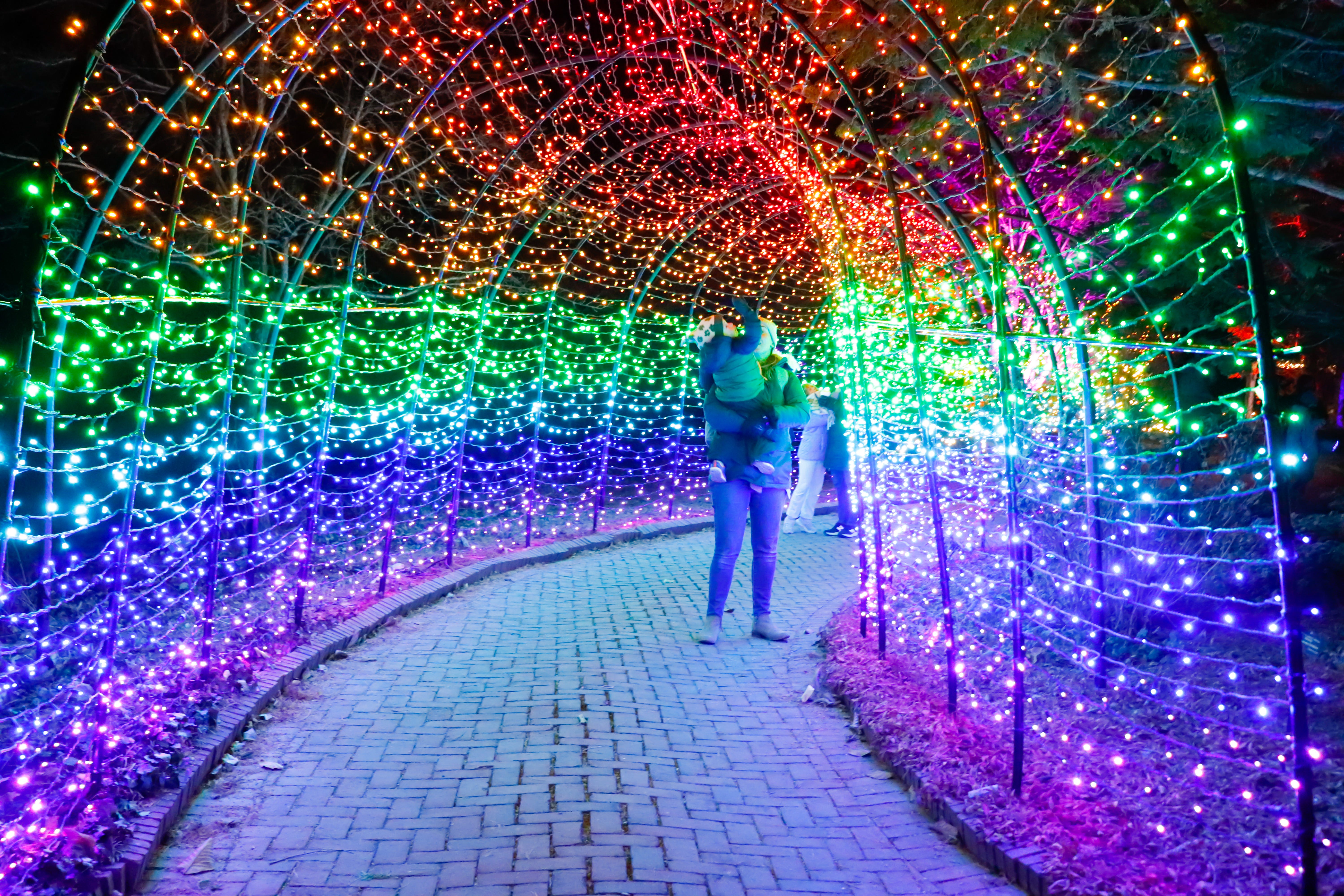 New England Botanic Garden at Tower Hill in Boylston puts on lights