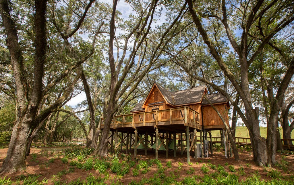 Lakeland's Bonnet Springs Park opens this weekend