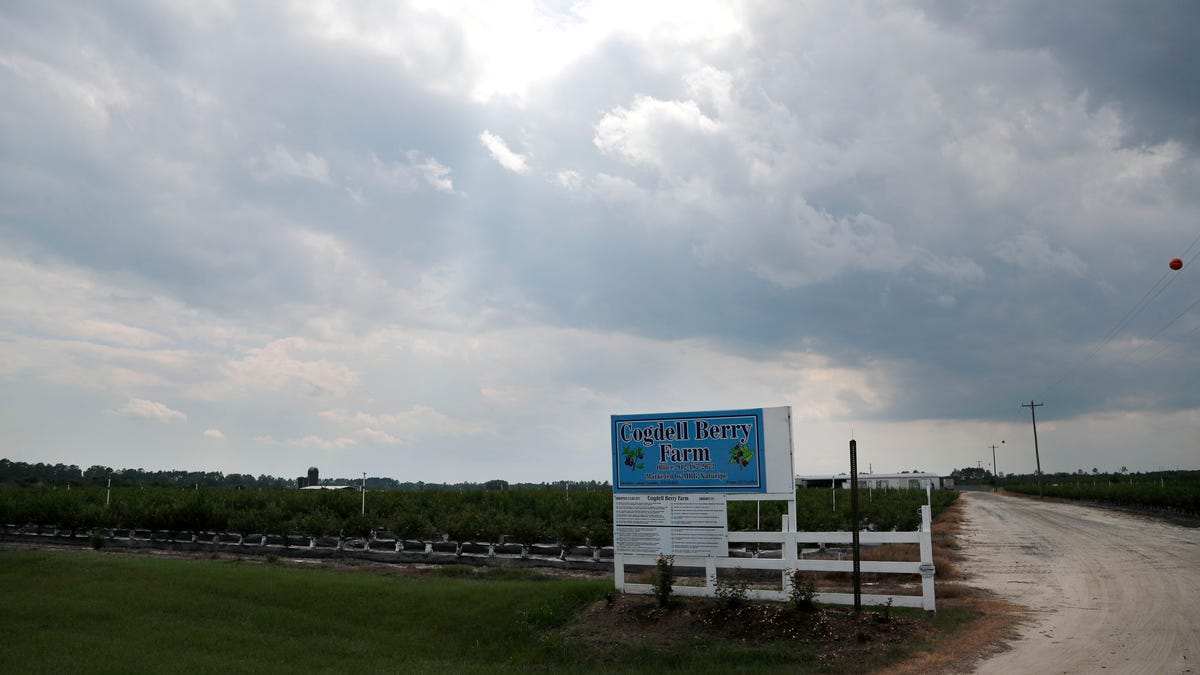 Georgia senator used farm labor contractors linked to trafficking case