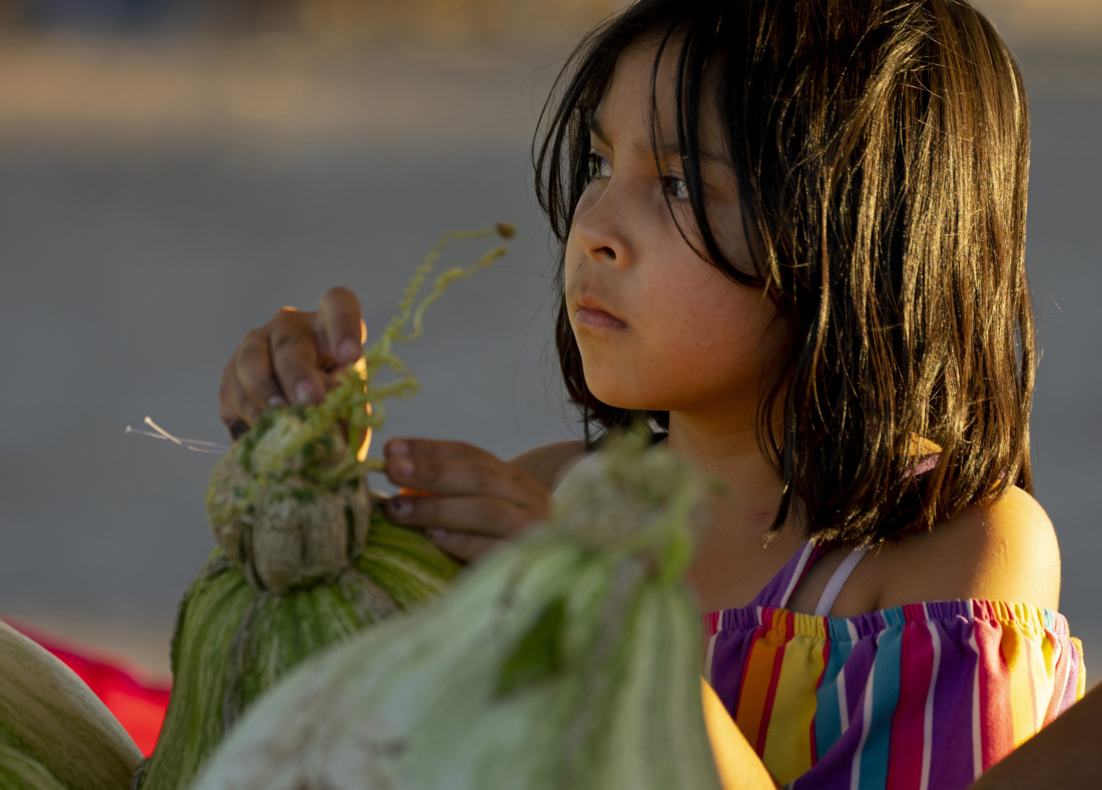 Arizona's Indigenous communities are reclaiming nearly lost foodways