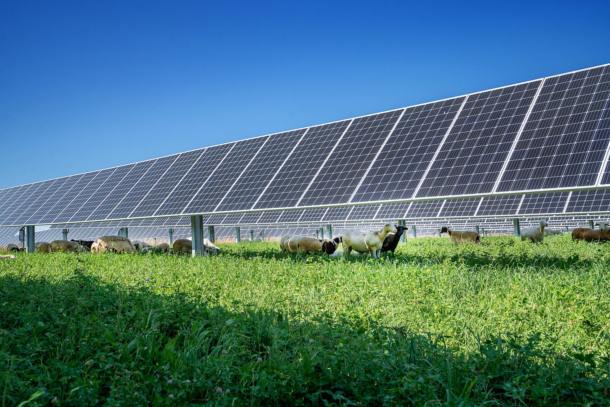 Erie County solar farms planned for North East, Girard, Washington