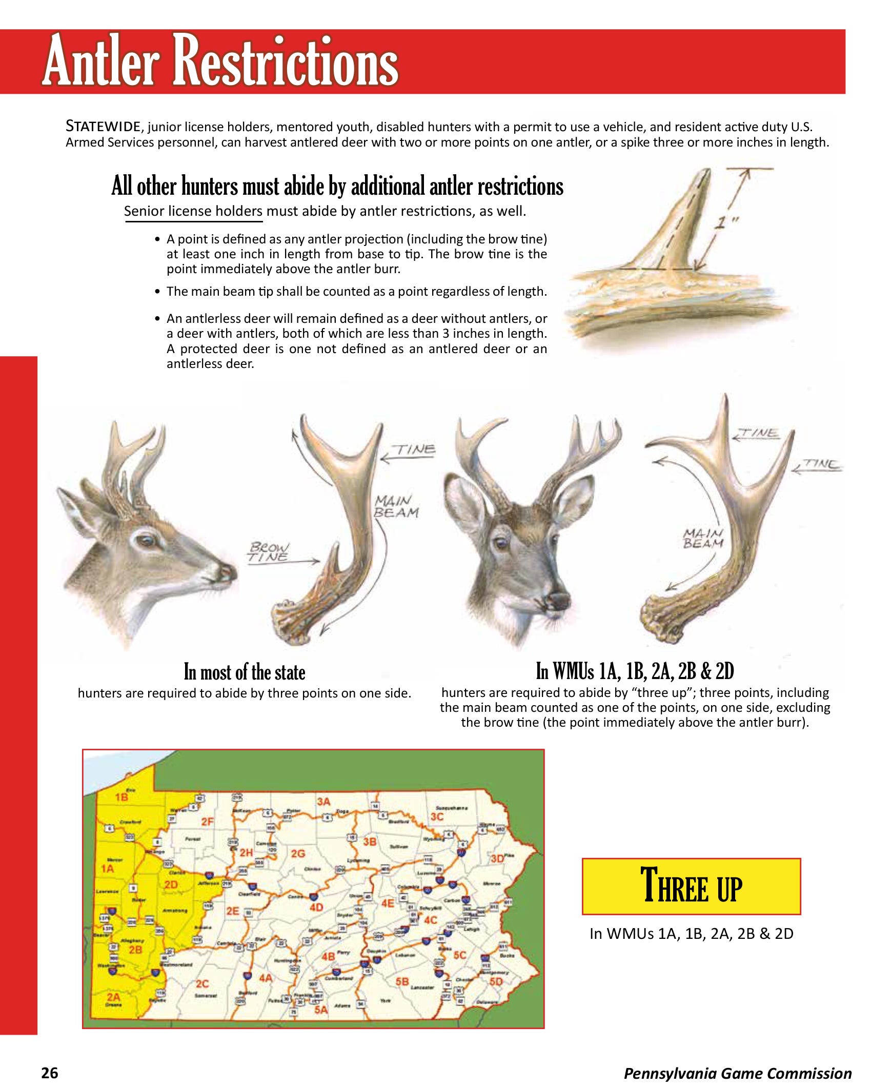 Successful 20 years of antler point restrictions in PA