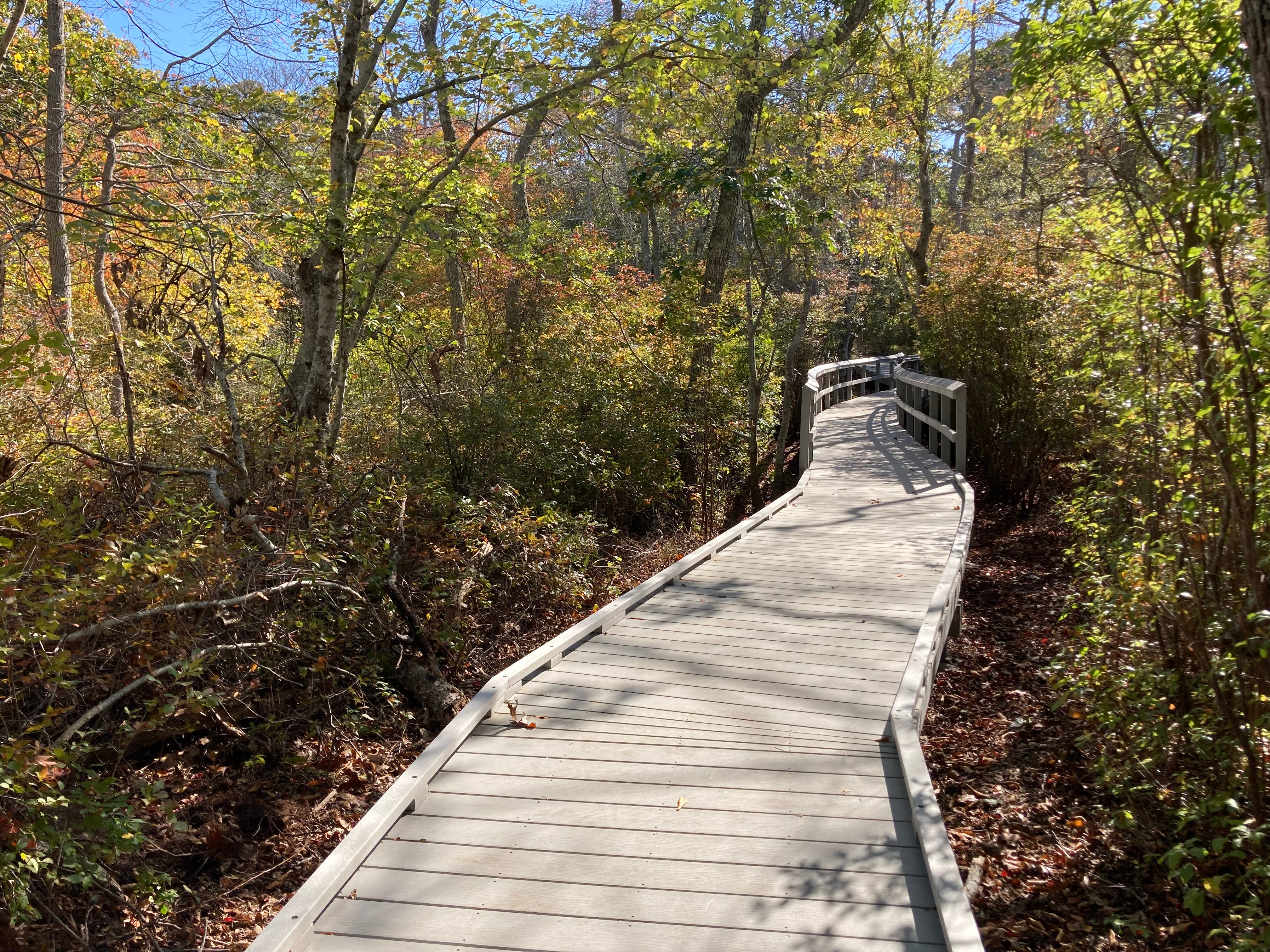 Here are the top 5 most popular trails on Cape Cod National Seashore