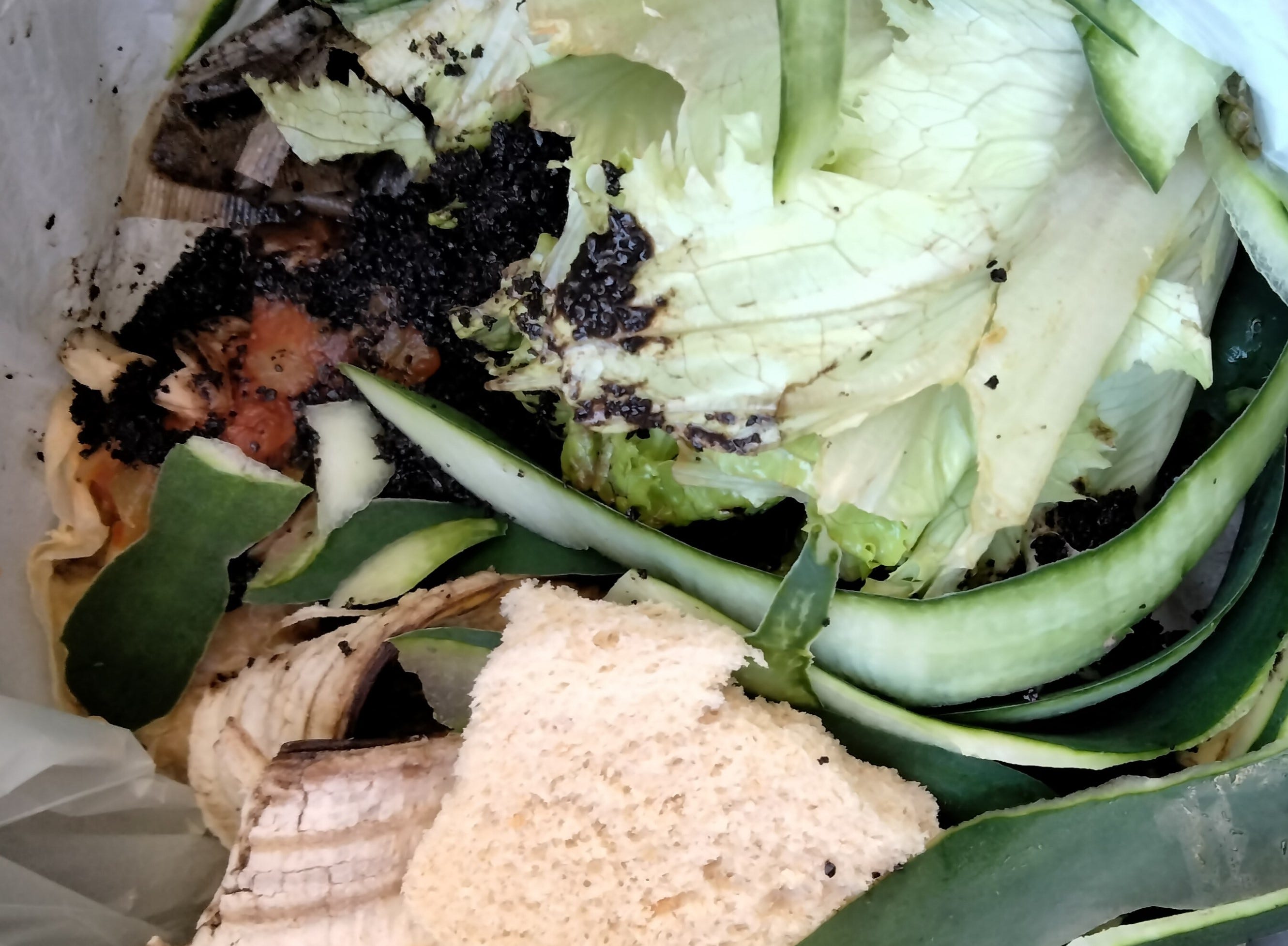 Solid Waste Master Plan: More Massachusetts restaurants must compost