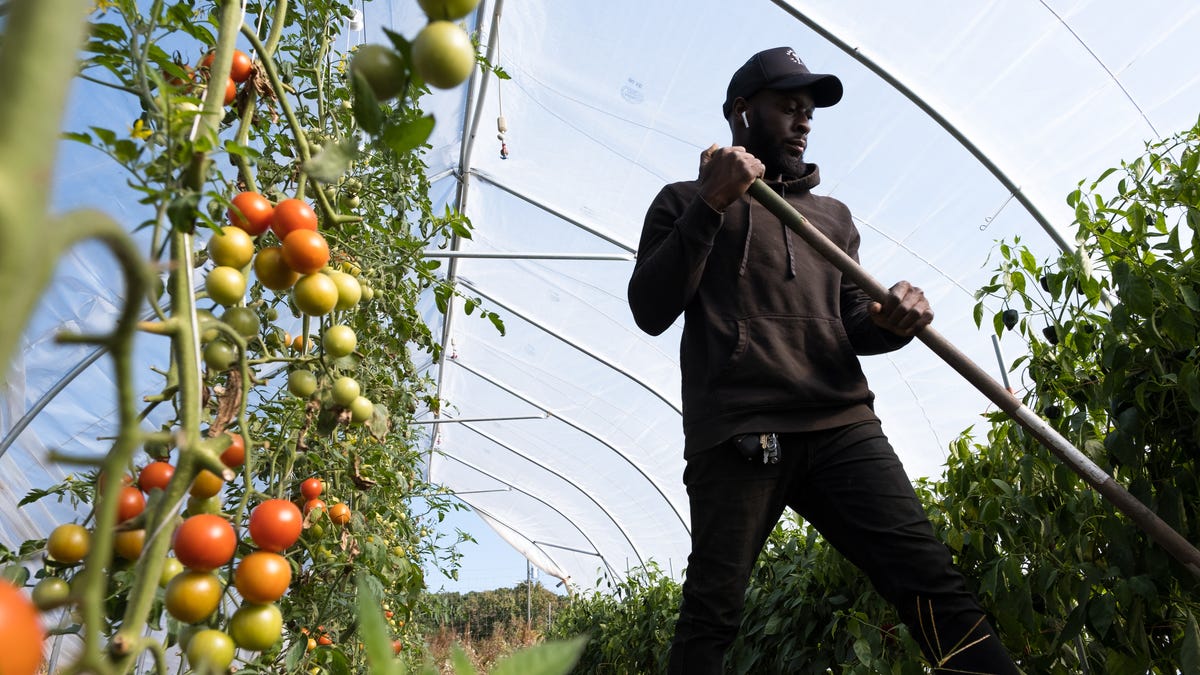 Uneven Ground: The South's Black farmers and their fight to flourish