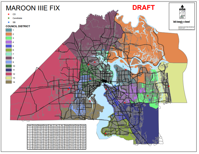 Jacksonville City Council votes for redistricting map