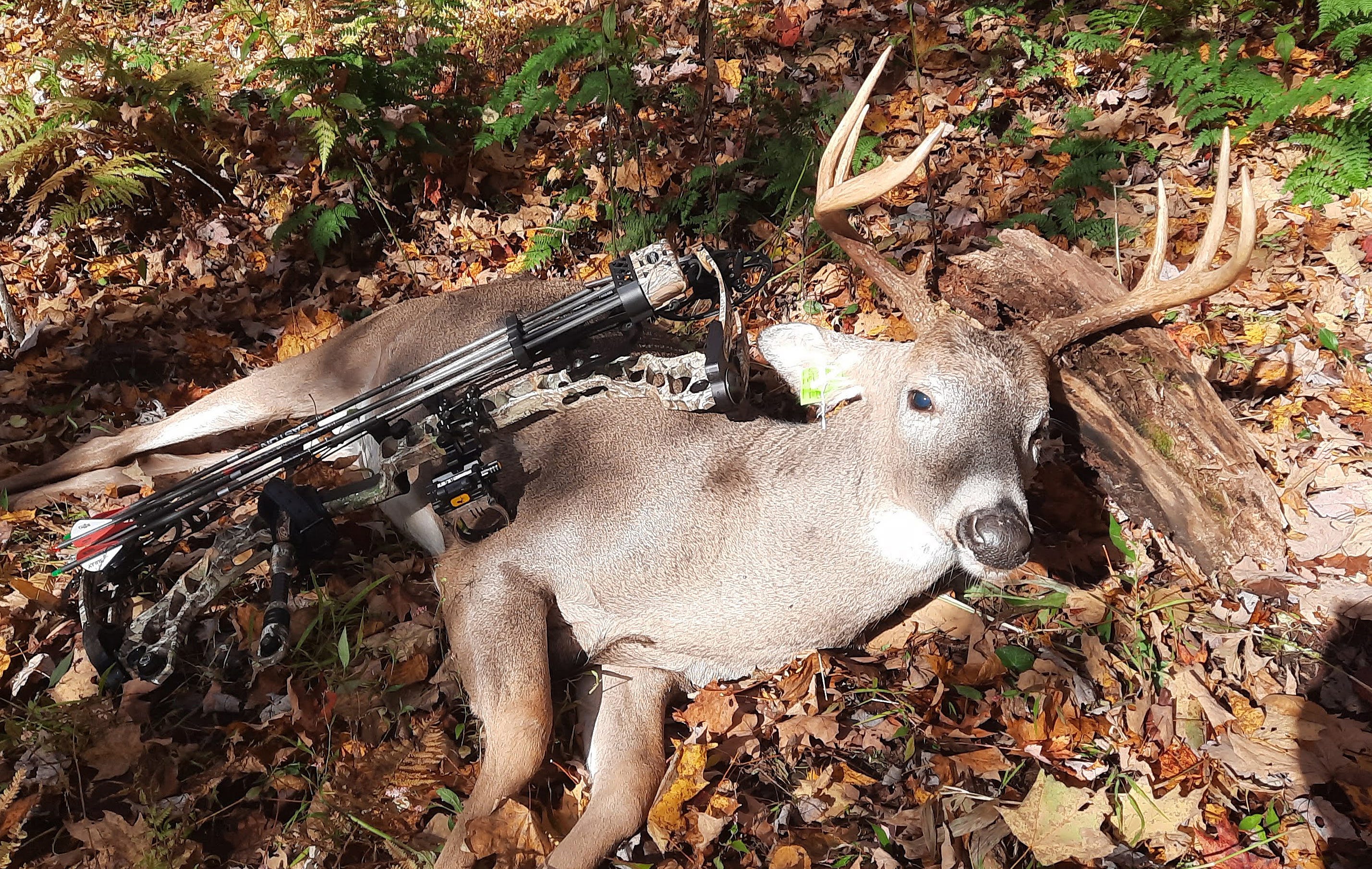 Go Outdoors Pennsylvania | With so much to do and see outdoors in ...