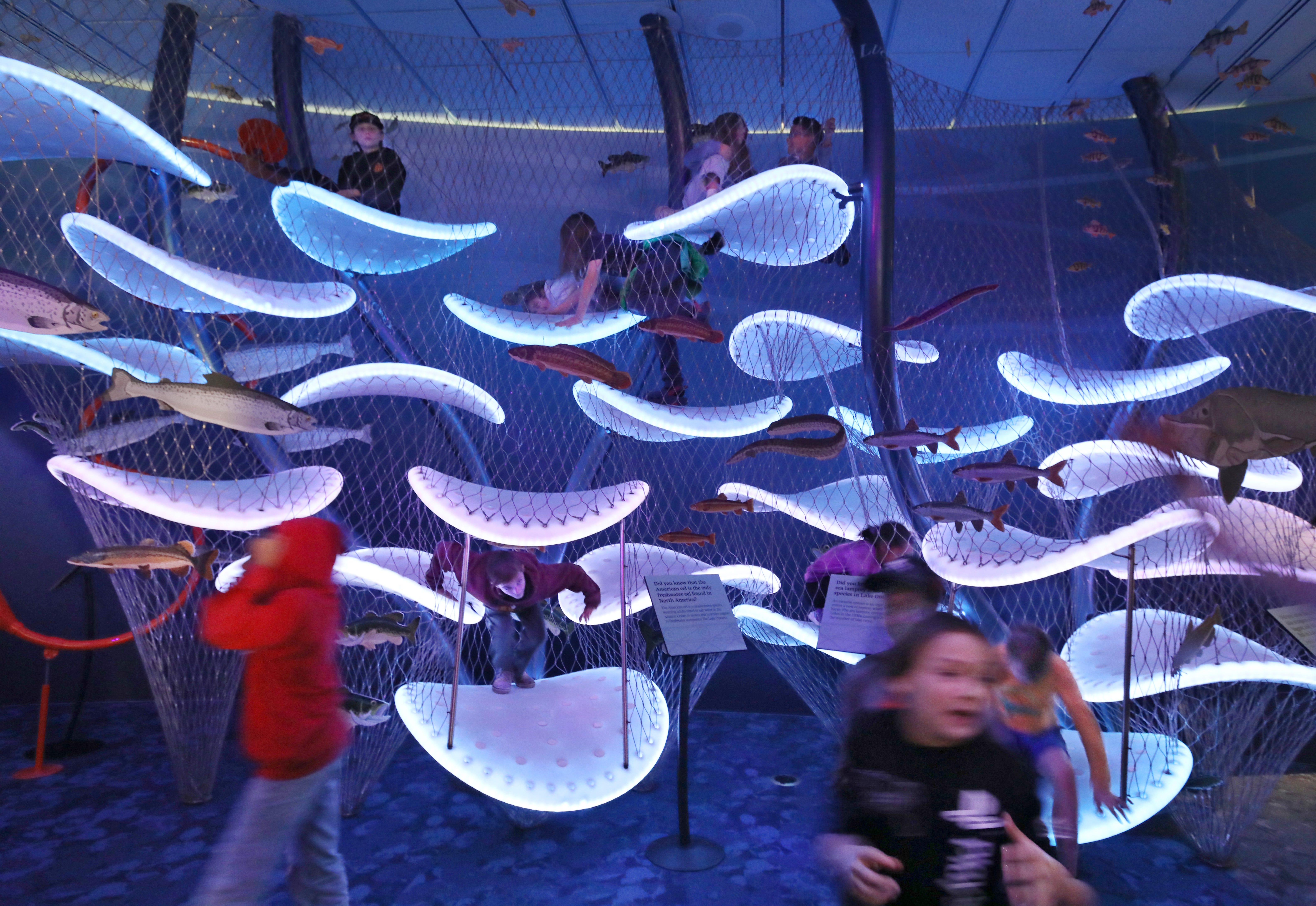 Rochester Museum & Science Center new exhibit opens