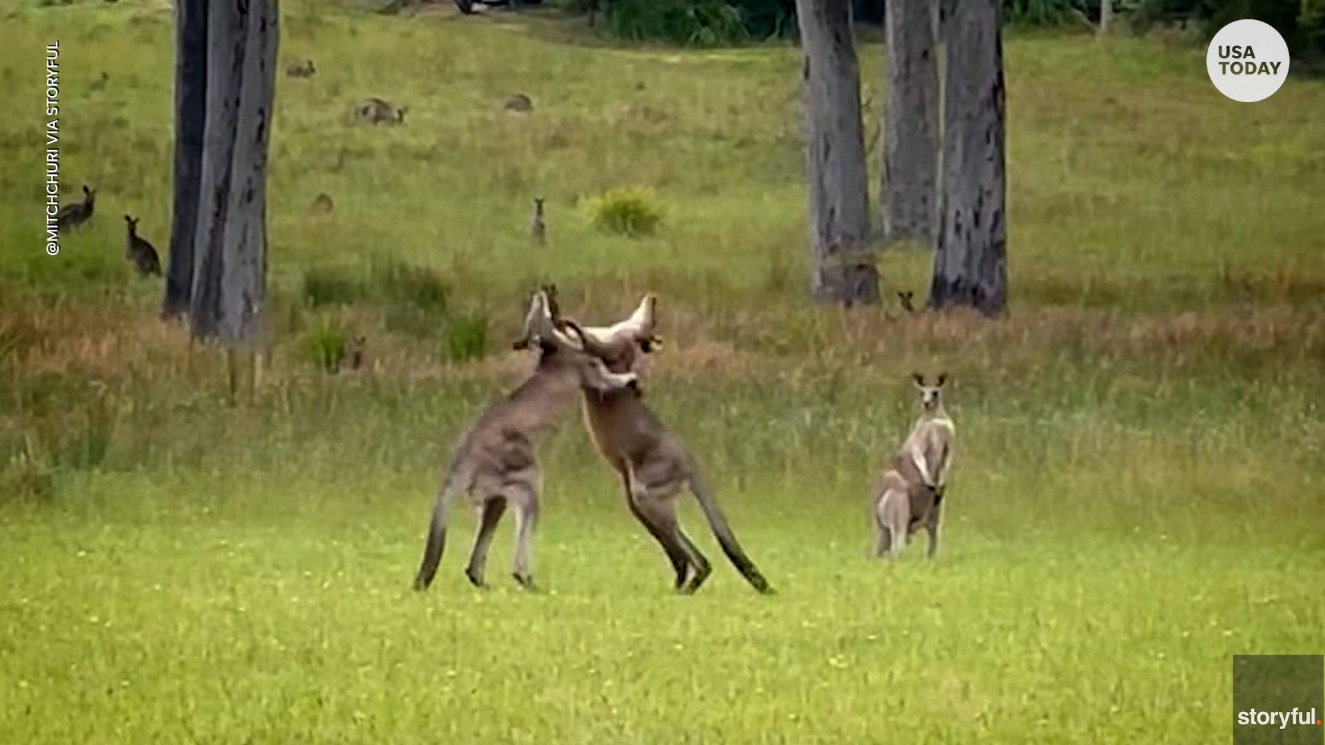 Bride's daughter asks groom to adopt her as wedding ceremony surprise ...