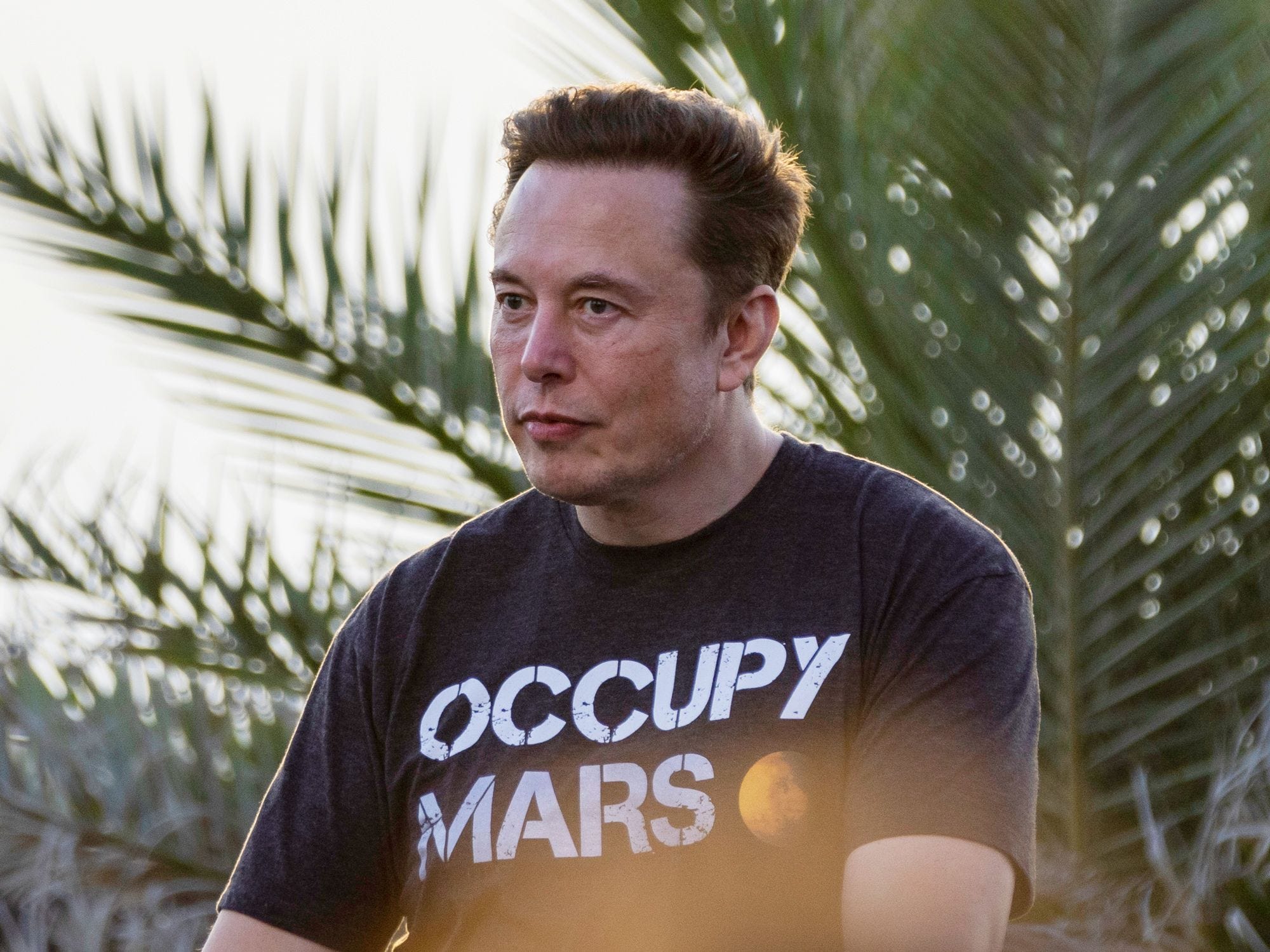 How Elon Musk is changing what you see on Twitter