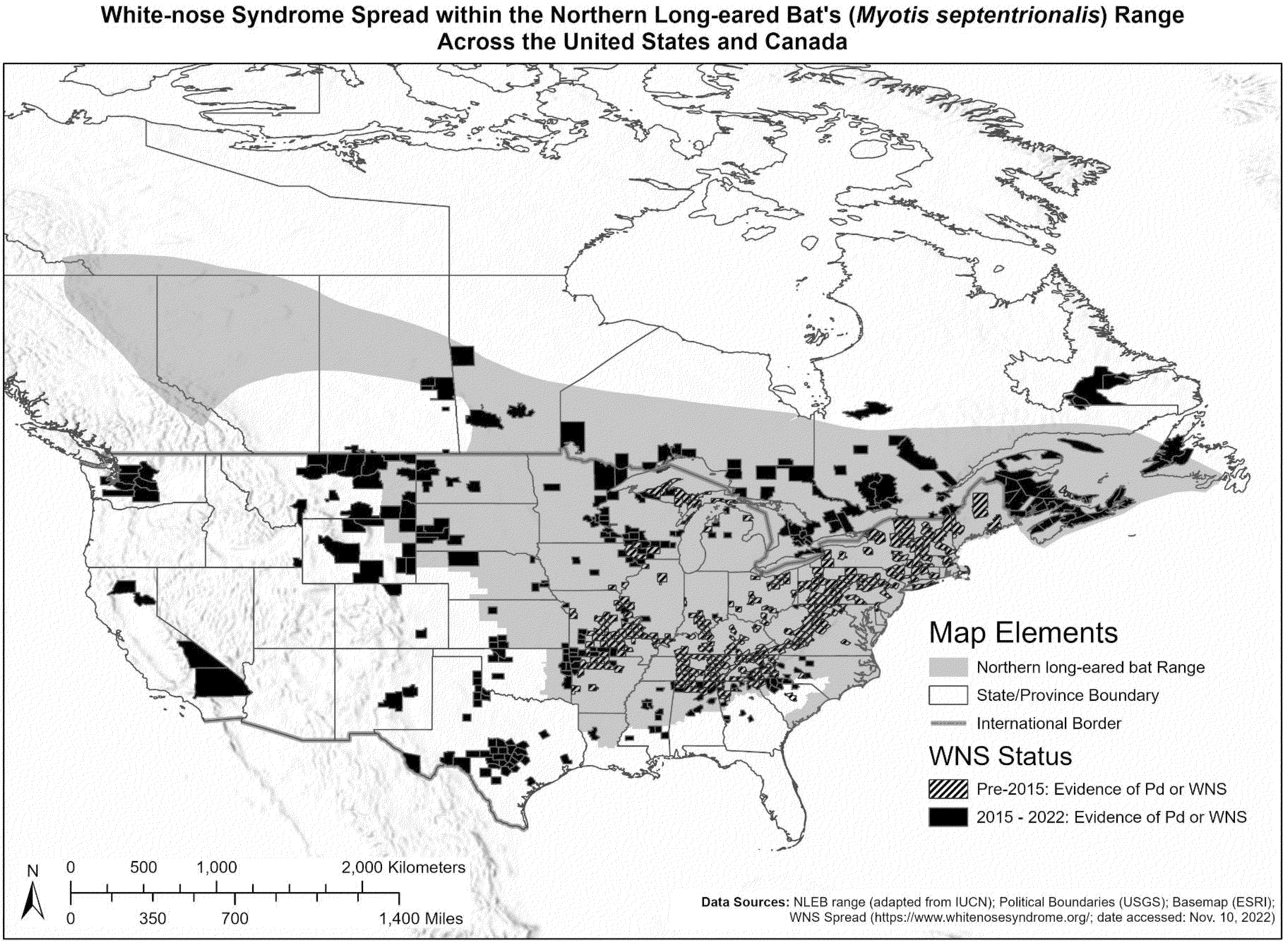 Federal government to list northern long-eared bat on endangered list