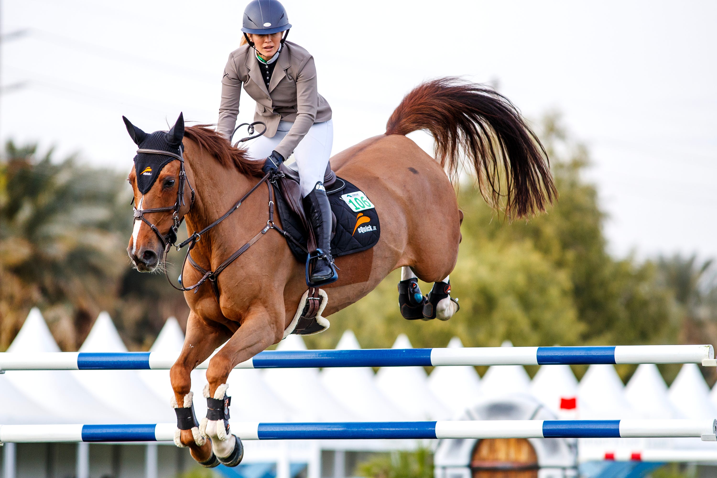 Show Jumping Equestrian