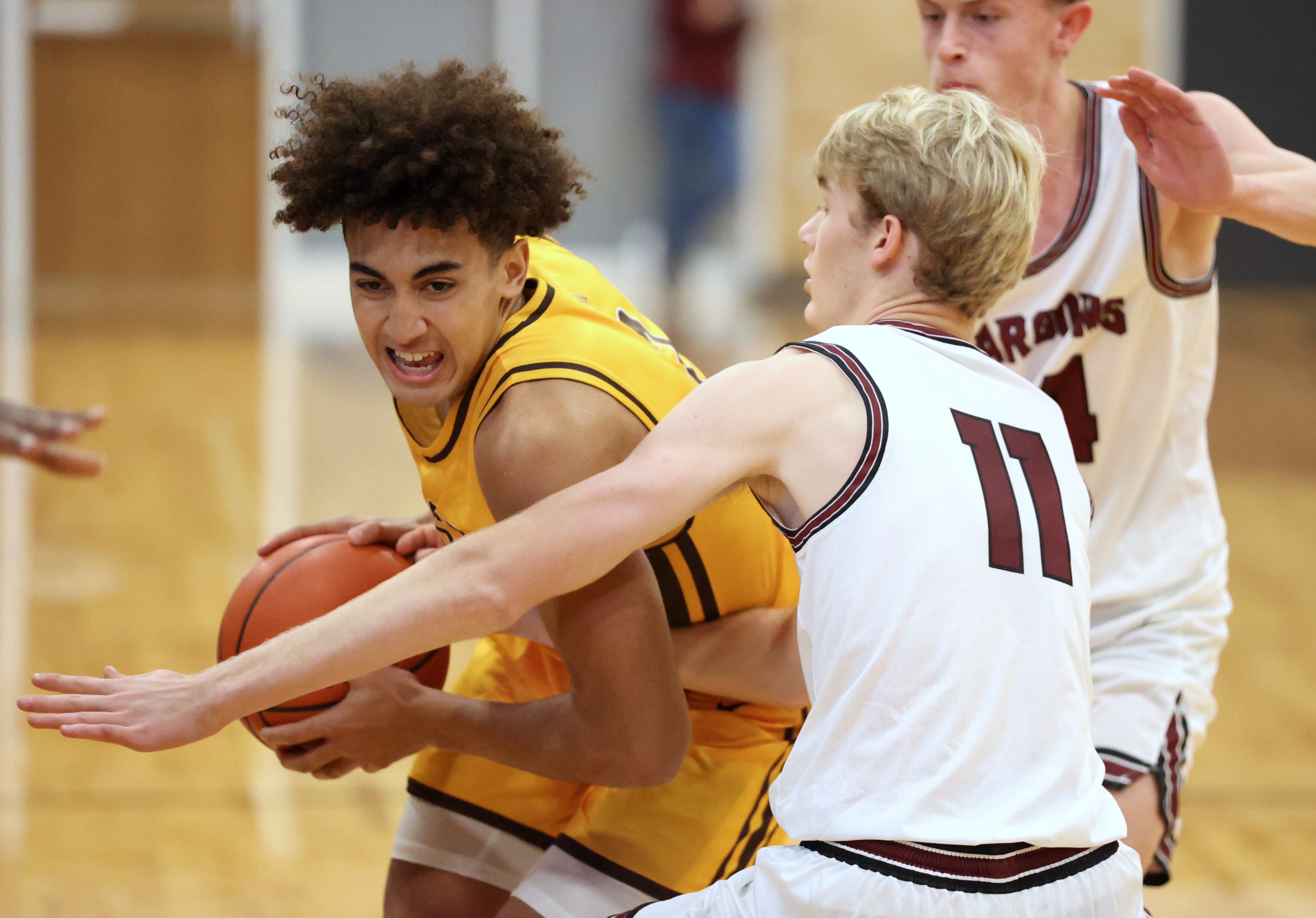 High school hoops rewind: Zeeland East, Black River win Saturday matinees