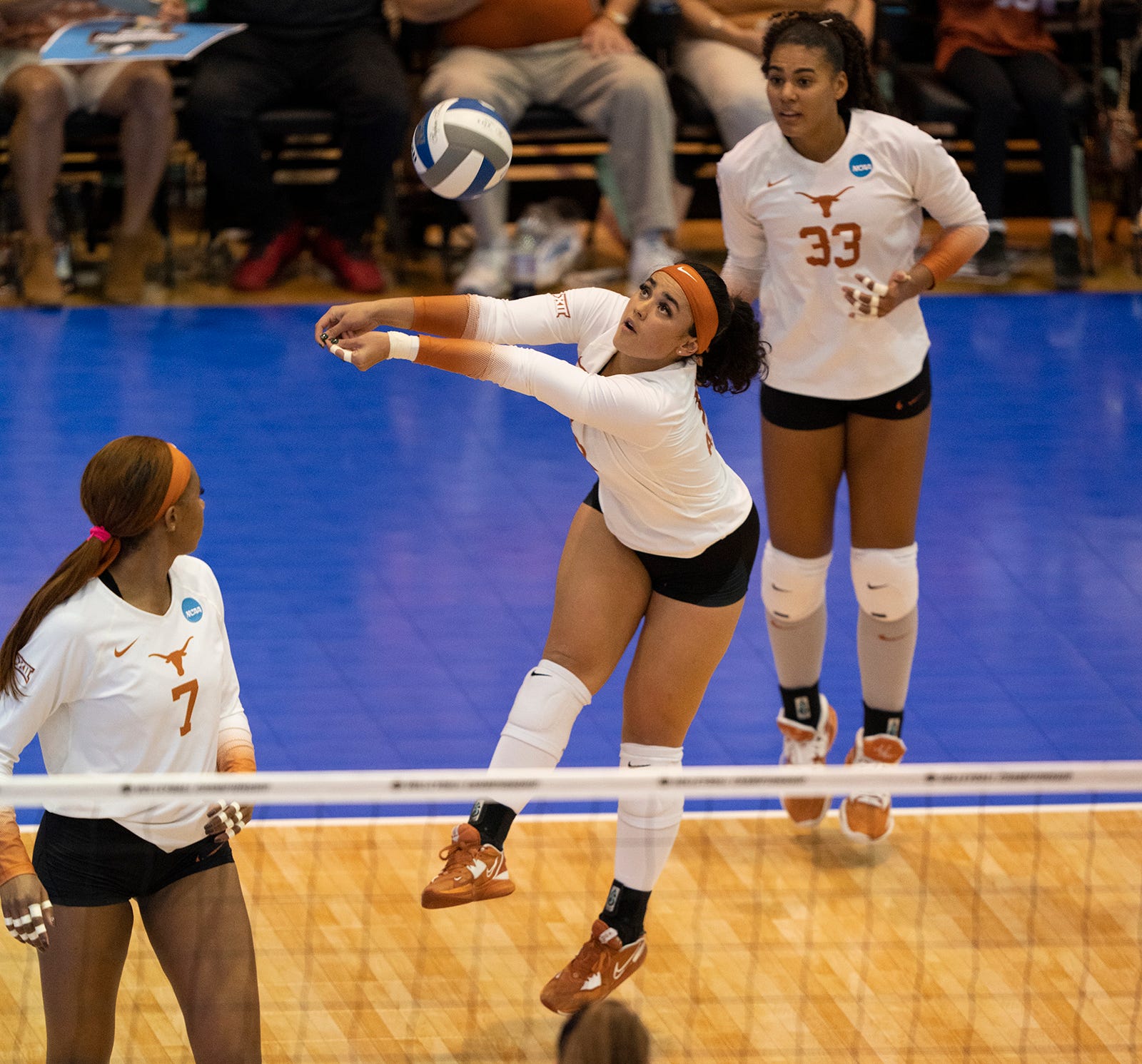 Texas Longhorns volleyball news - Austin American-Statesman