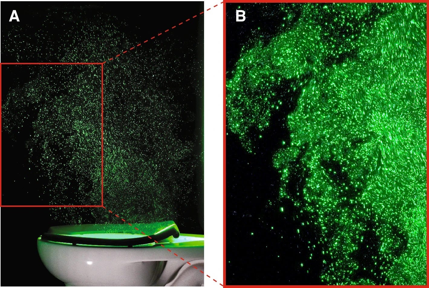 Video of 'toilet plume' shows how much droplets spread when you flush