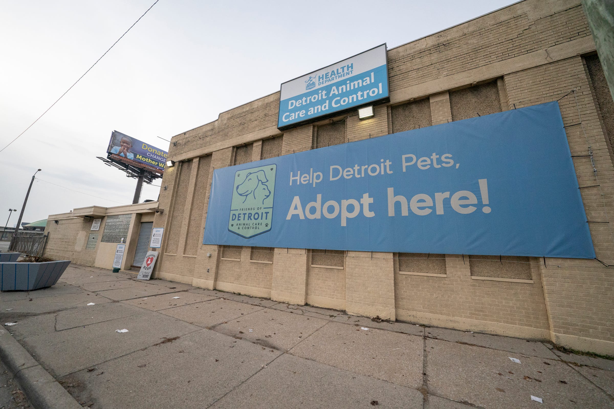 Detroit animal shelter goal: 30 dogs in 3 hours on April 30