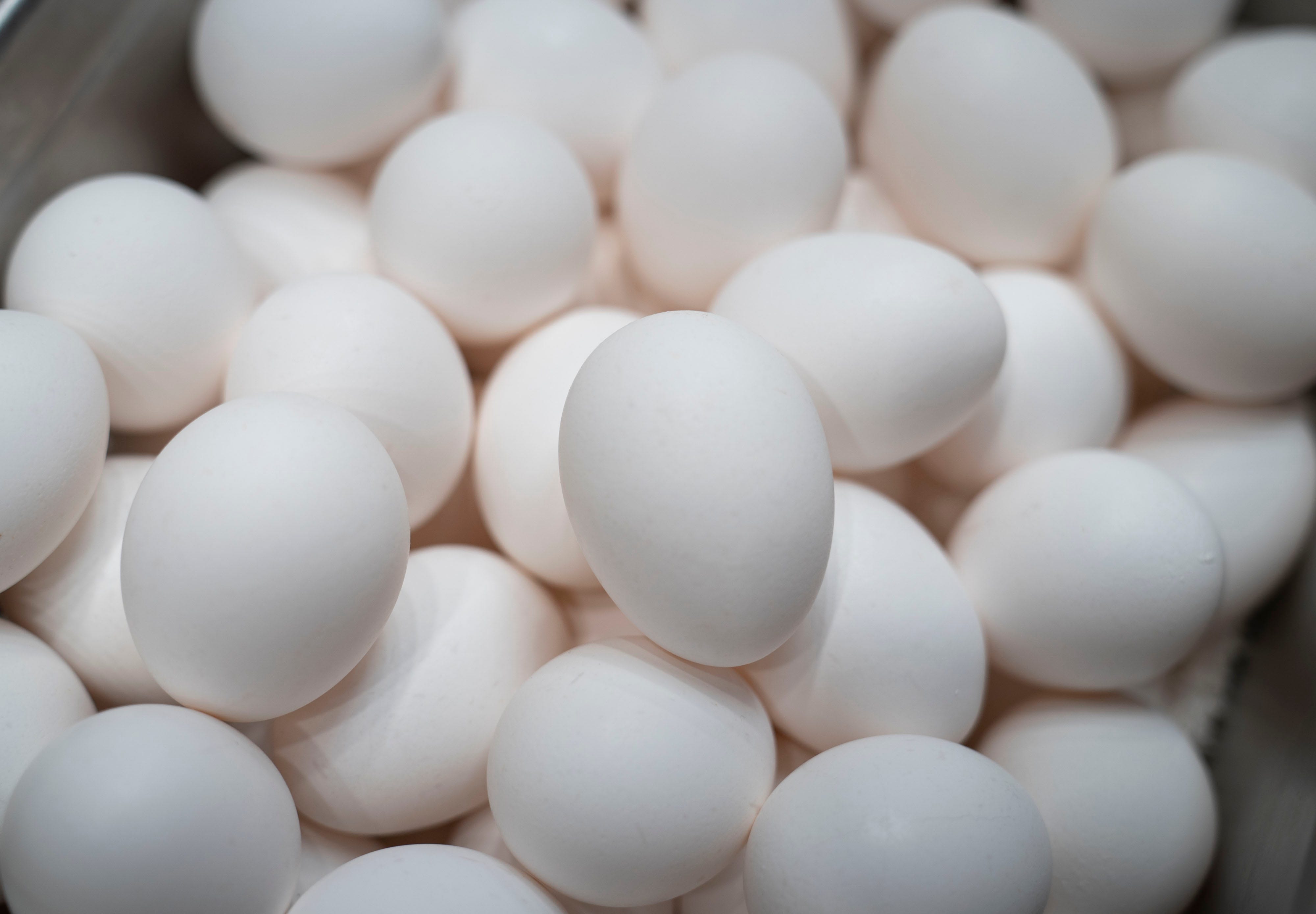 Egg prices high in El Paso: Bird flu, shortage drive up cost