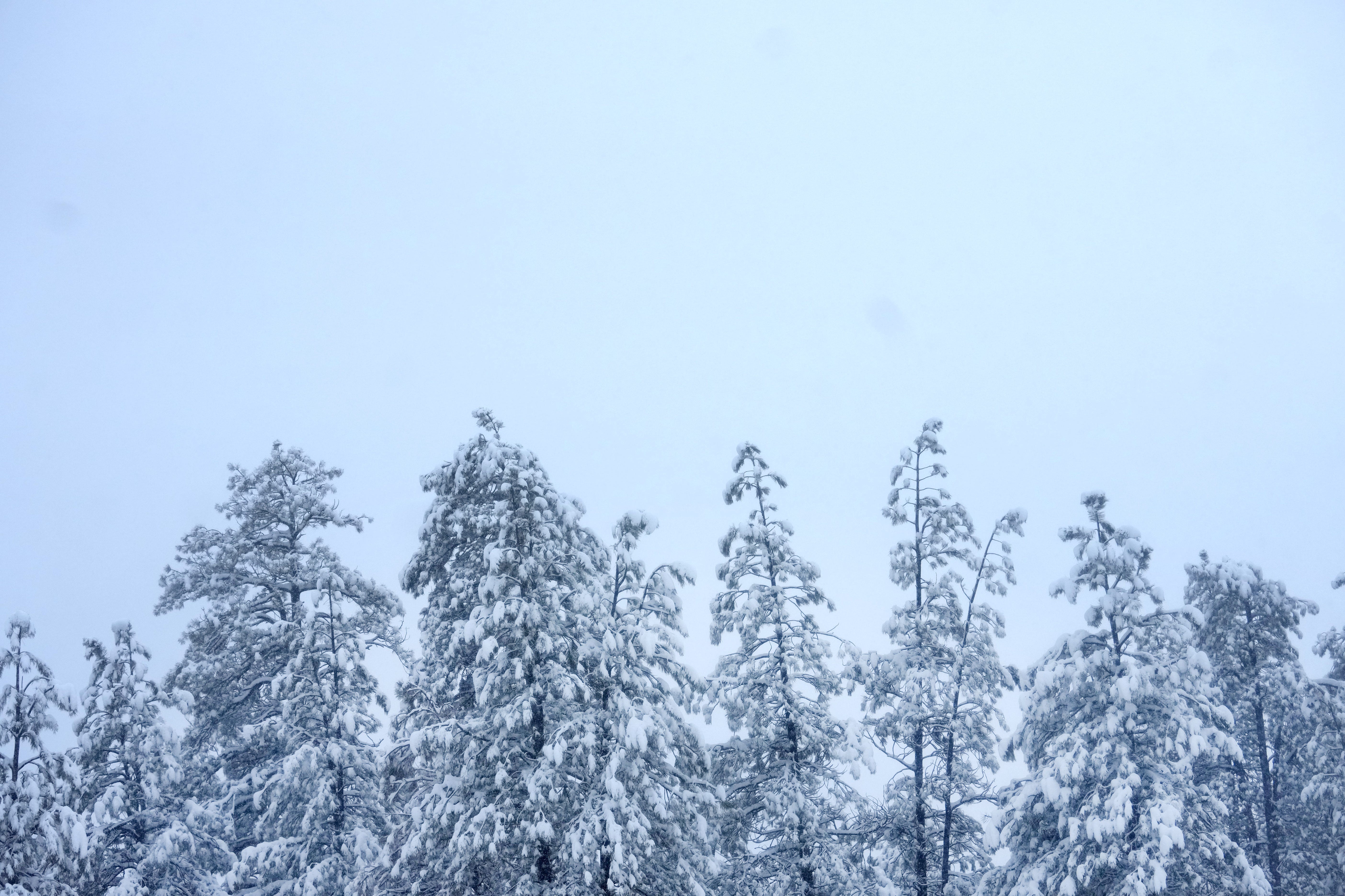Arizona ve alivio de sequía después de tormentas de nieve, lluvia