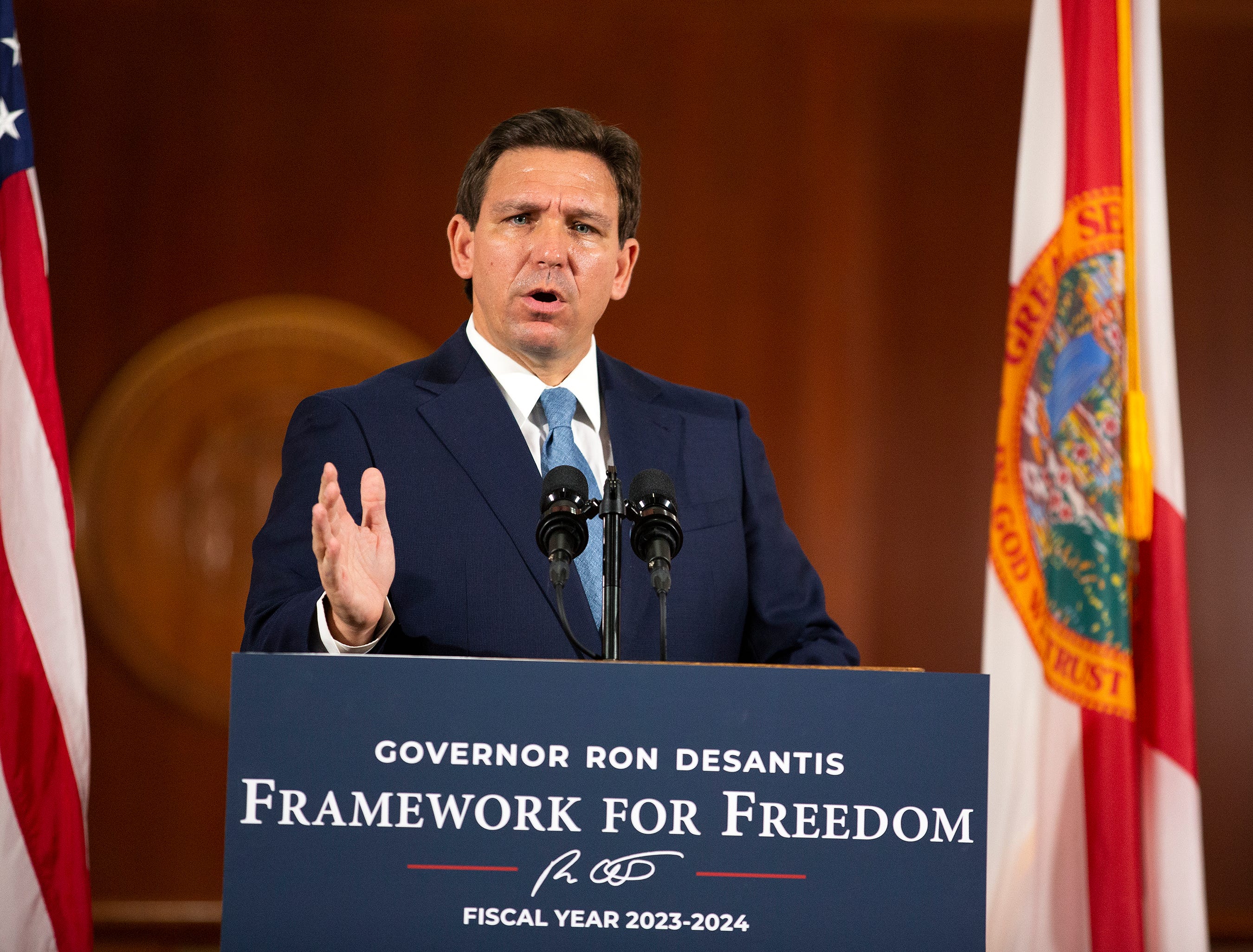 Five takeaways from DeSantis' big reveal of $115B Florida budget proposal