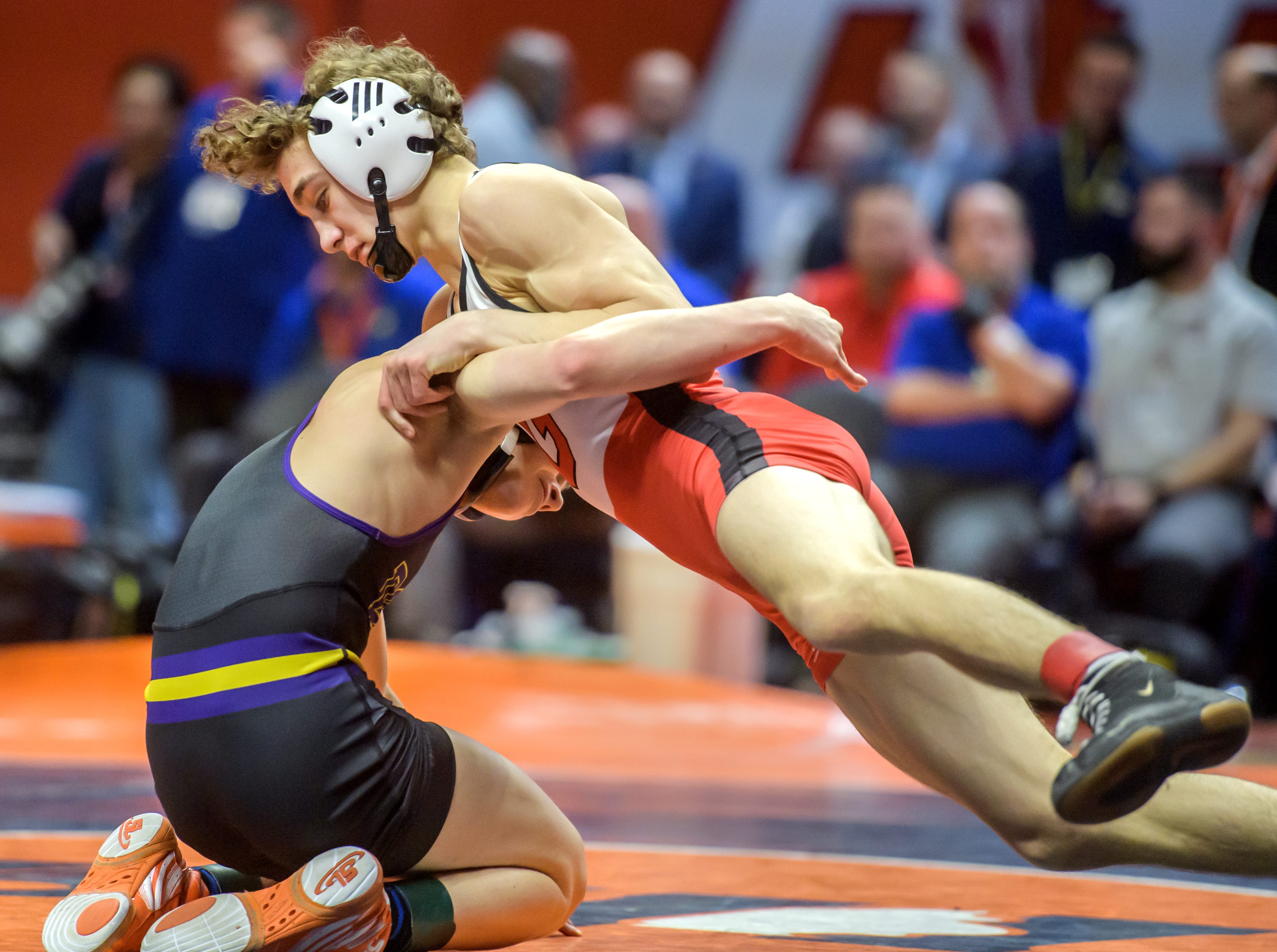 IHSA wrestling finals: Drew Davis, Joey Ruzic win second state titles