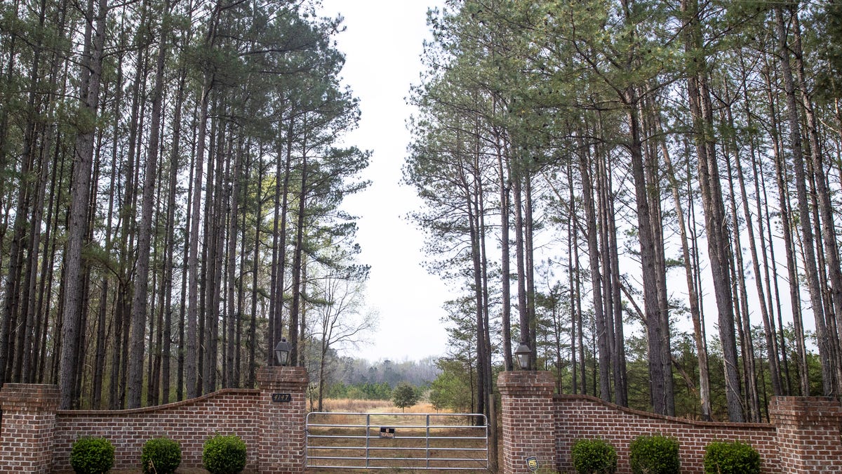 PHOTOS: Alex Murdaugh murder trial: Jurors visit Moselle crime scene