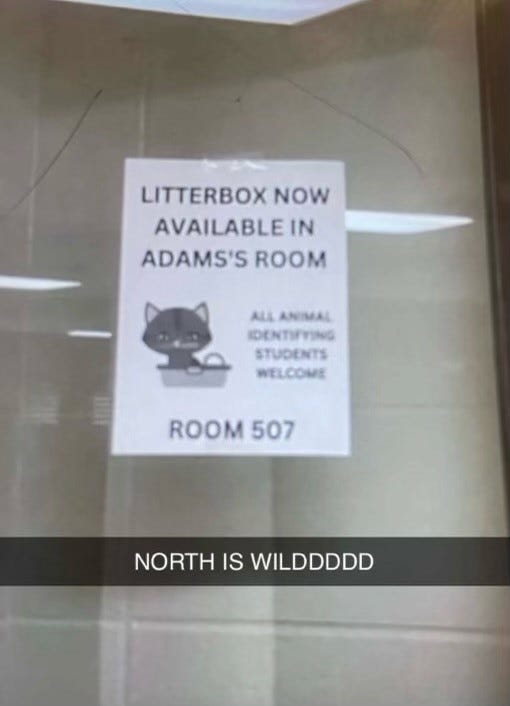 Indiana high school faces backlash for litter box in classroom