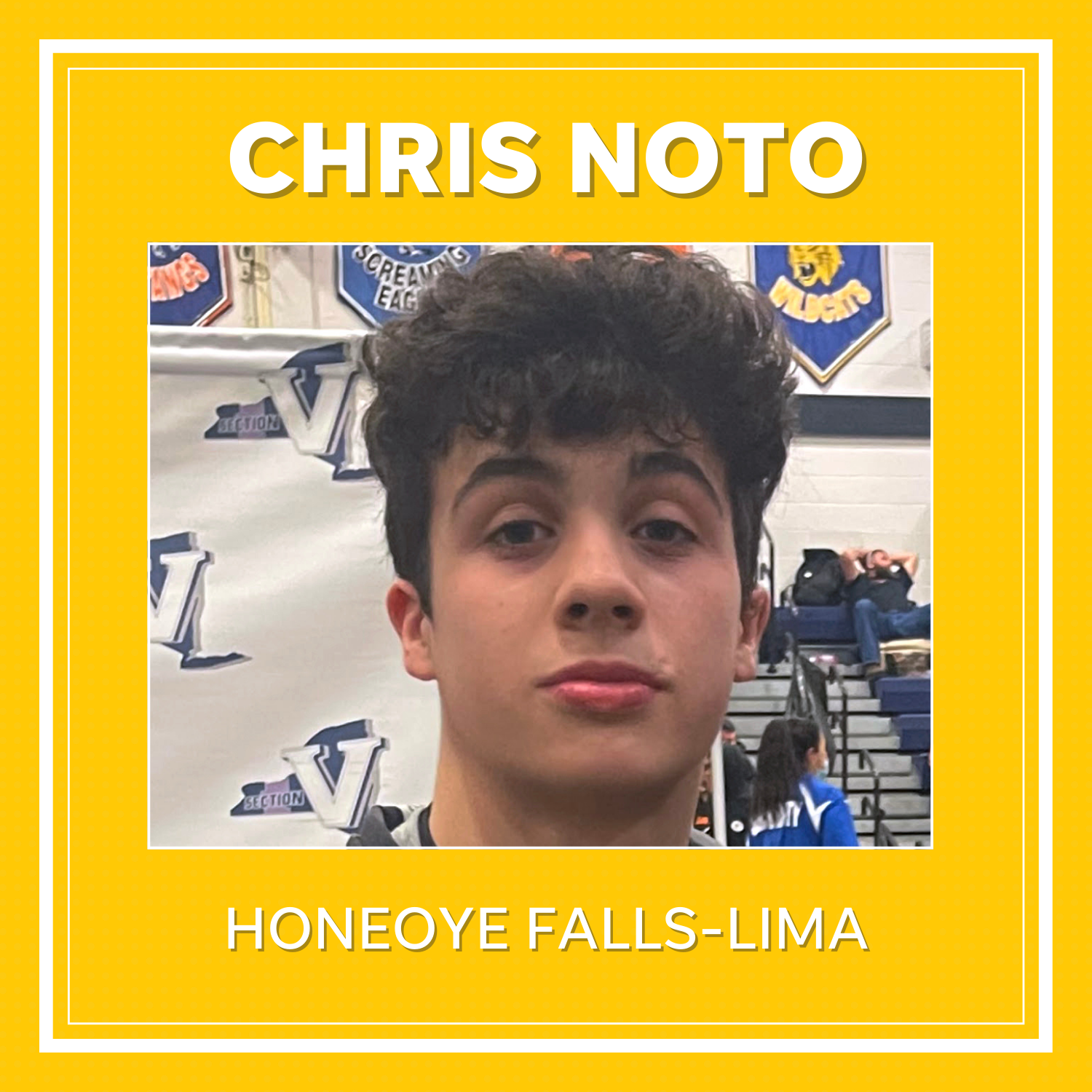 AGR: All-Greater Rochester Division 2 Wrestling 2023 Team